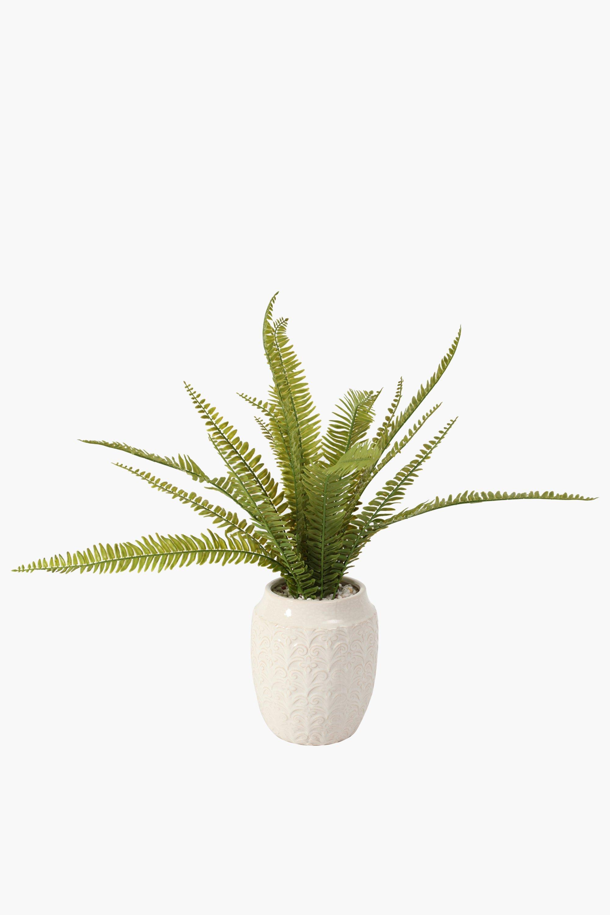 Ceramic Potted Fern