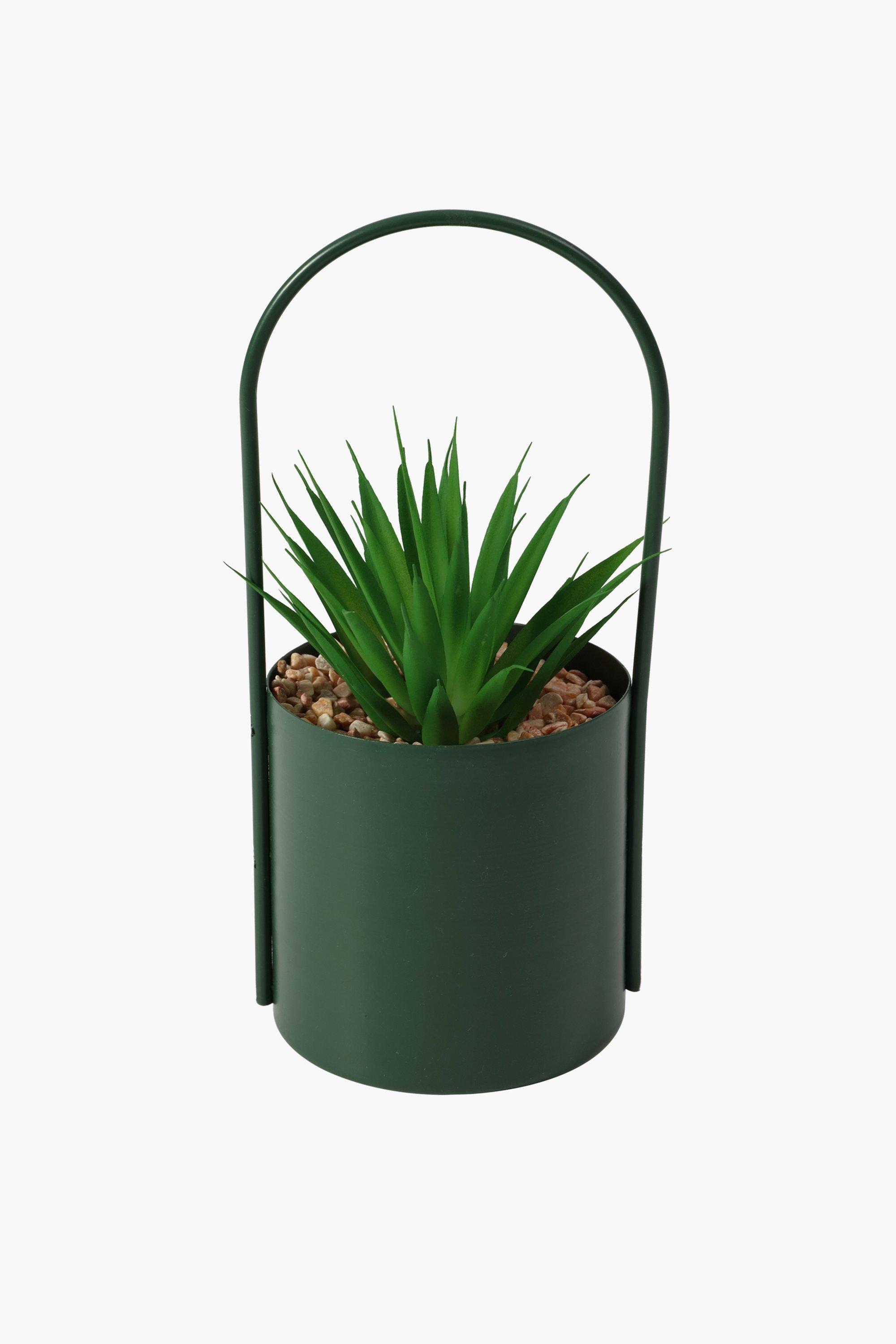 Arch Metal Succulent, Medium