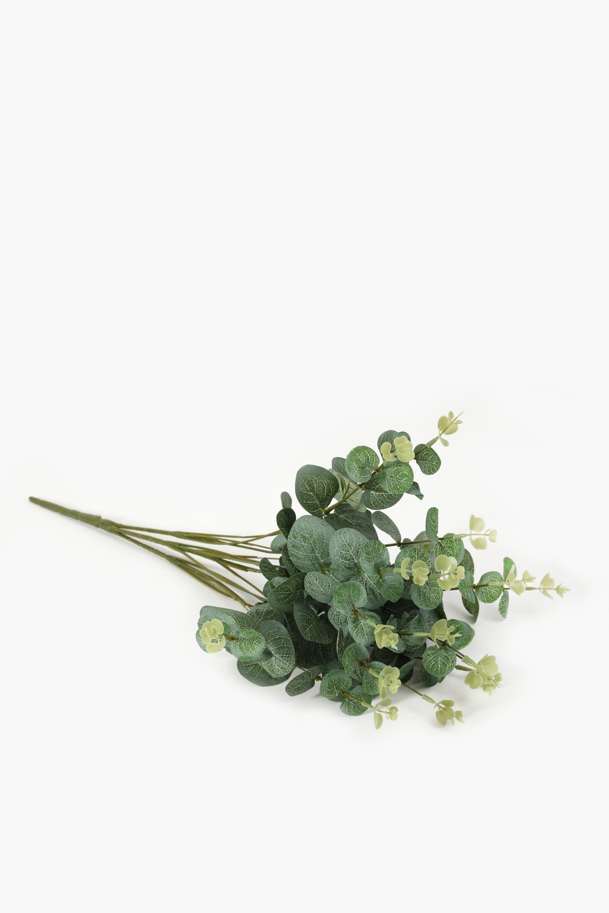 Gum Leaf Bunch - Nosize