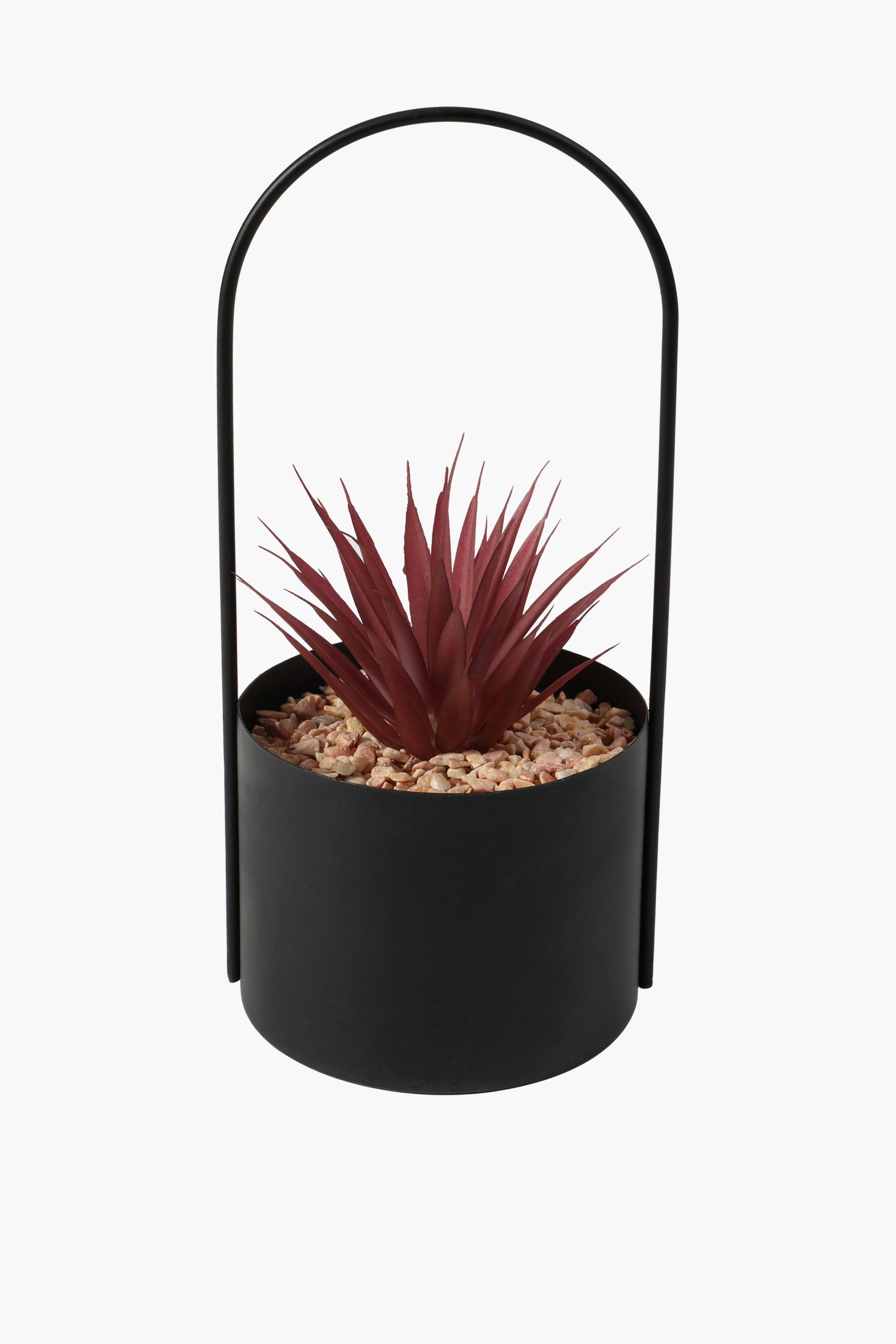 Arch Metal Succulent, Large