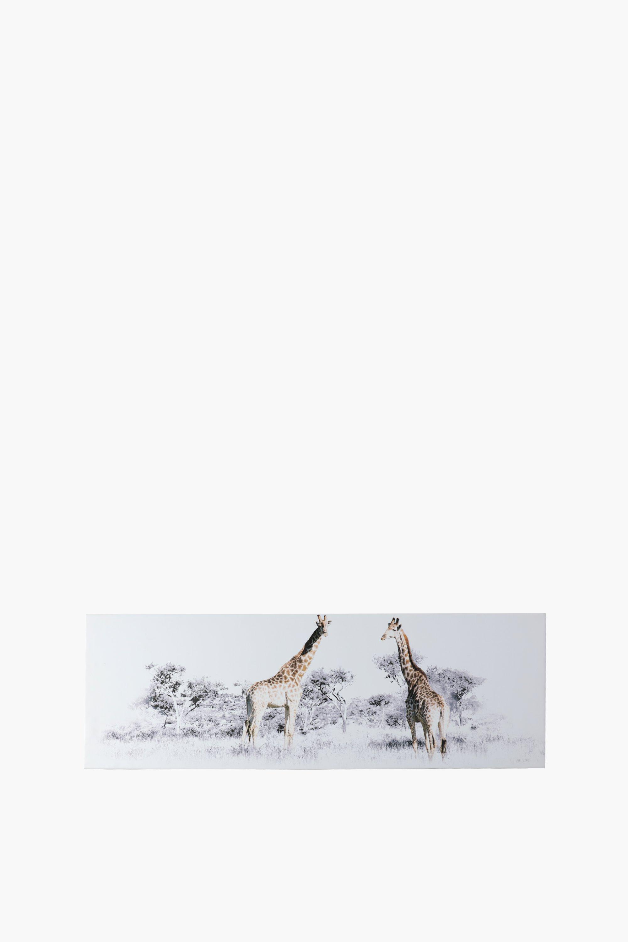 John Lamberti Printed Giraffes Wall Art