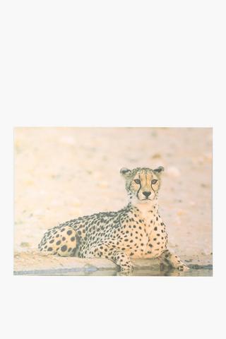 Simon Smith Leopard Wall Art, 90x120cm