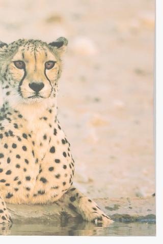 Simon Smith Leopard Wall Art, 90x120cm