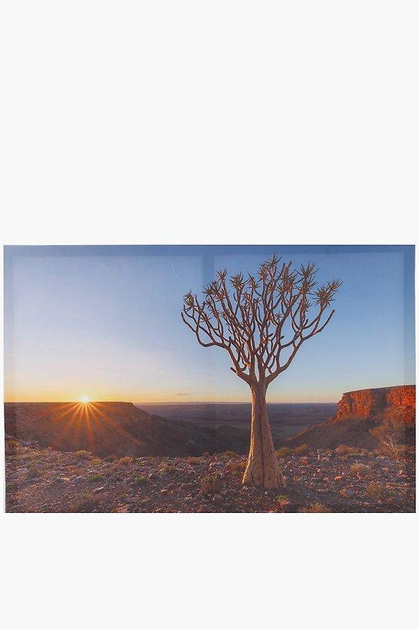 Sunset Quiver Canvas 40x60cm