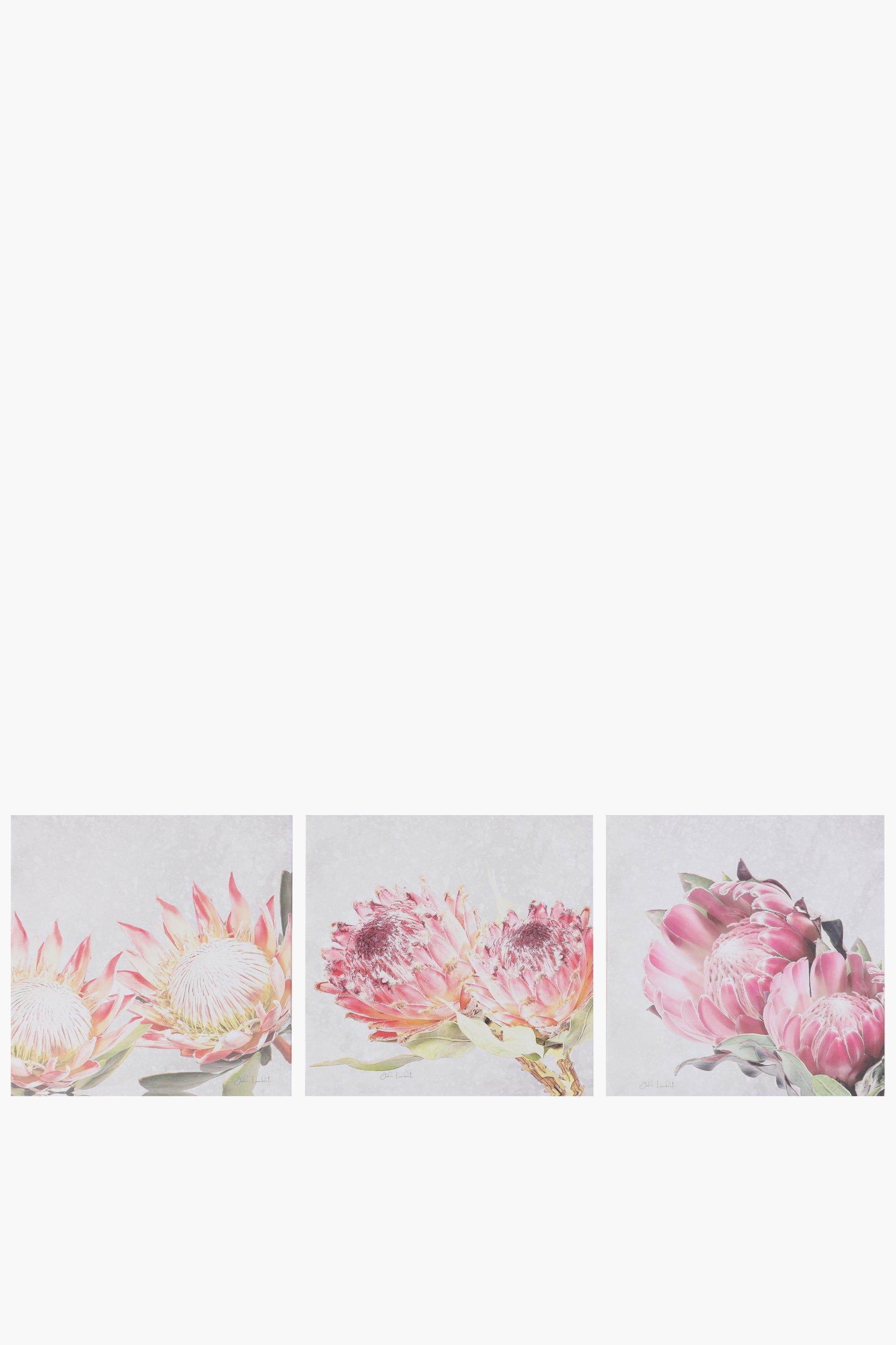 3 Piece Protea Textured Canvas Wall Art