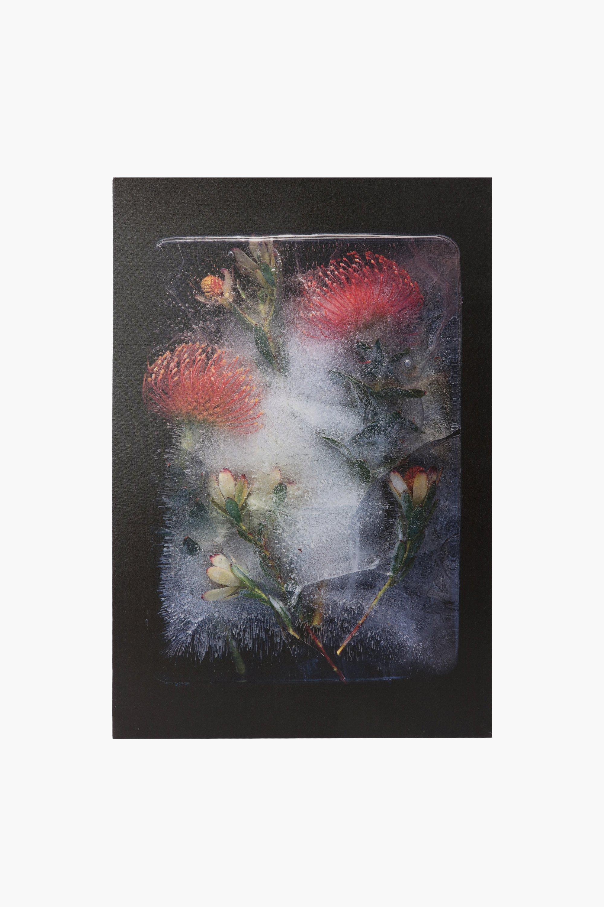 Bruce Boyd Frozen Floral Wall Art