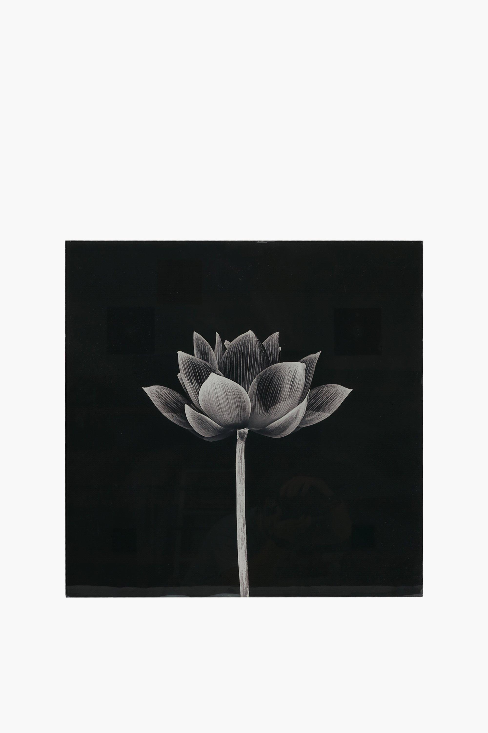 Glass Japanese Flower, 60x60cm
