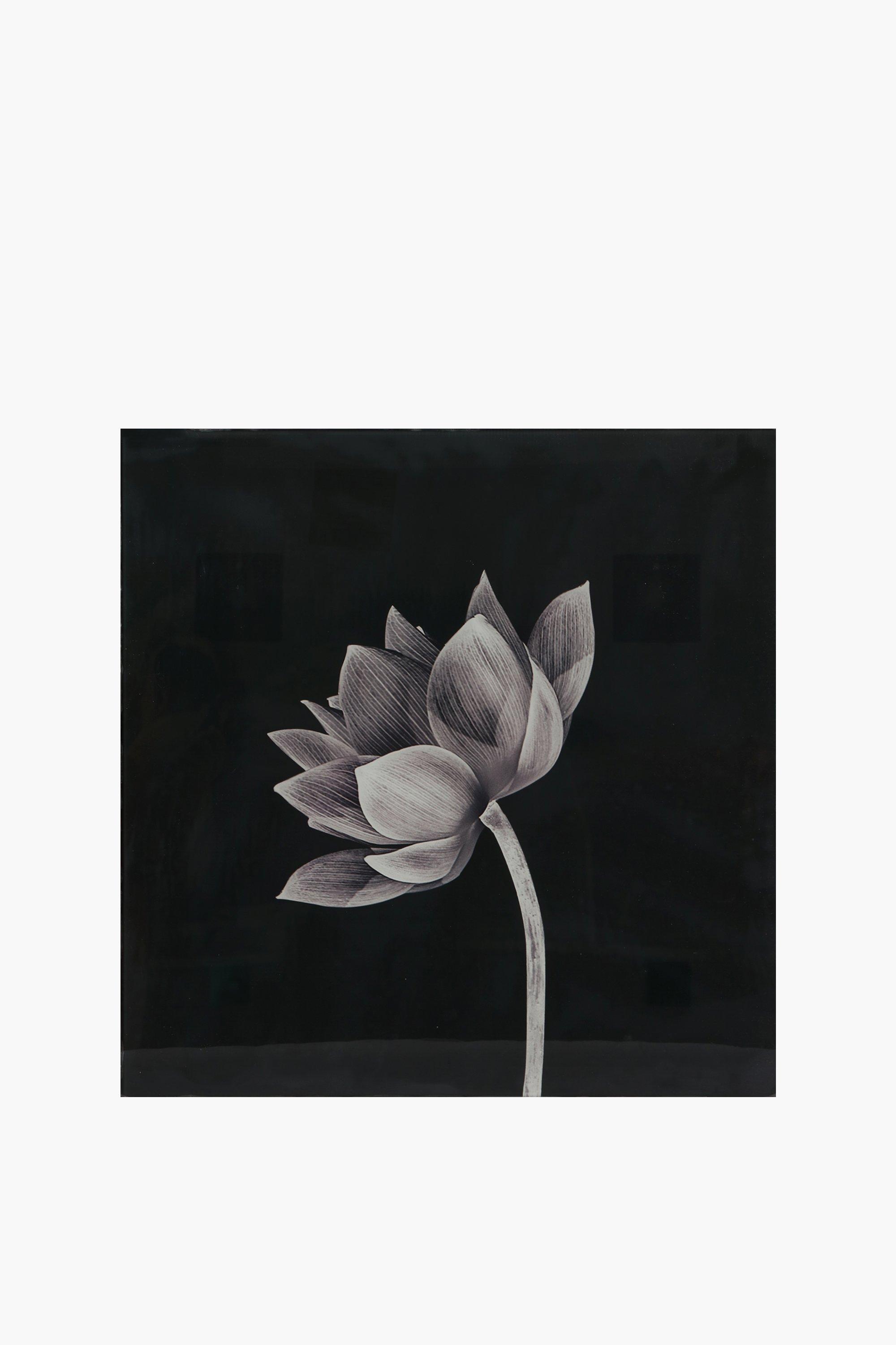 Glass Japanese Flower, 60x60cm
