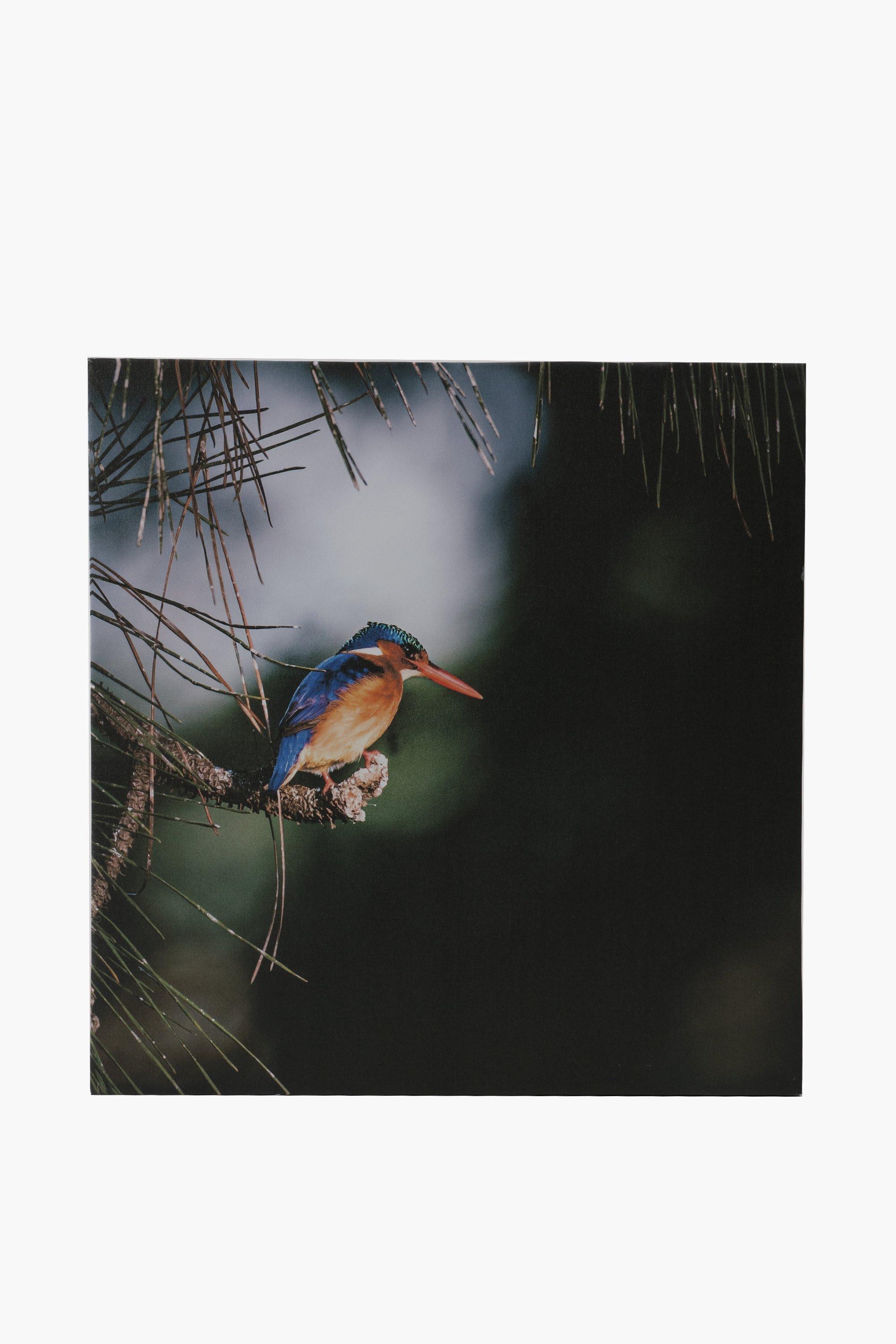 Simon Smith Bird Wall Art