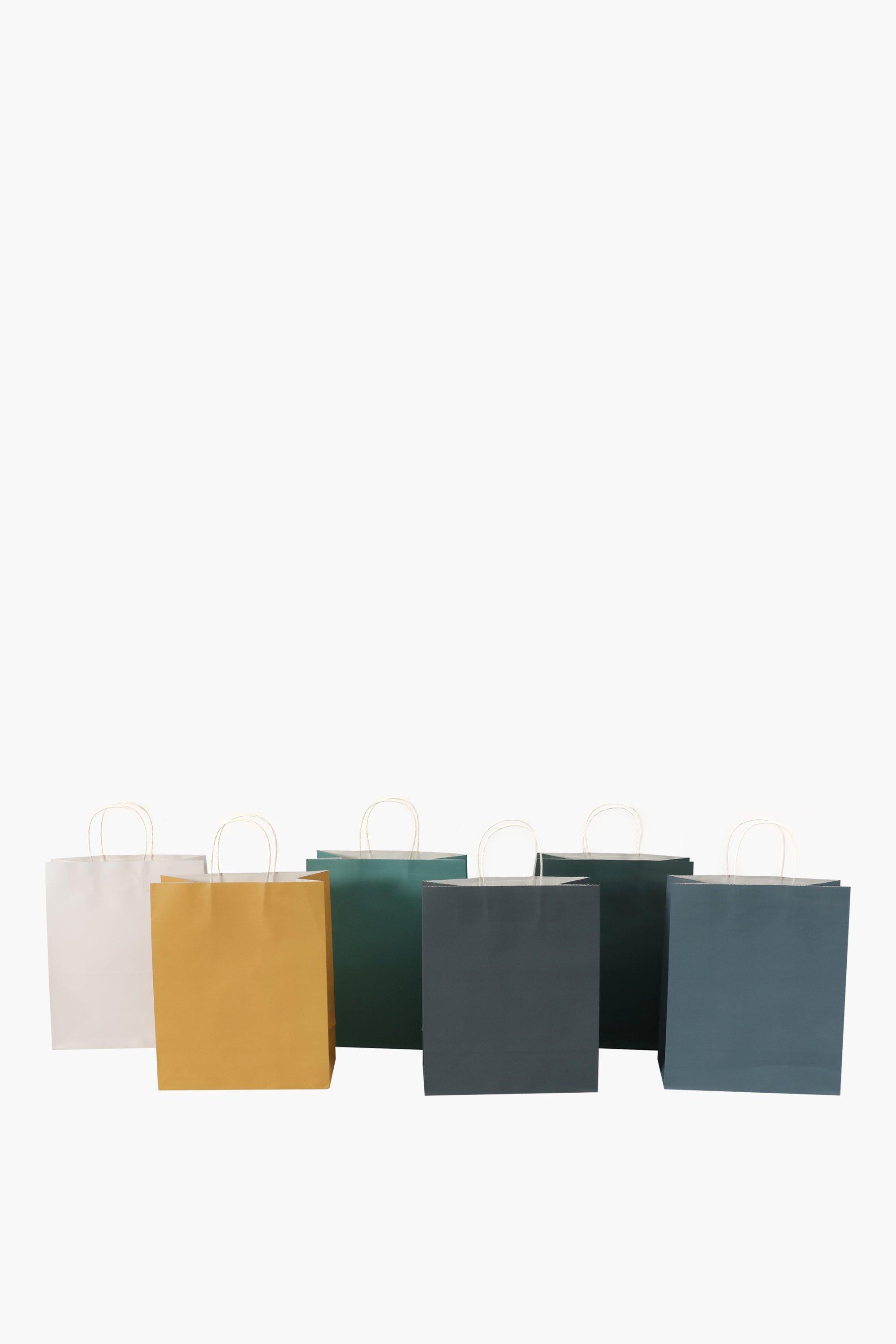 6 Pack Plain Gift Bags Small