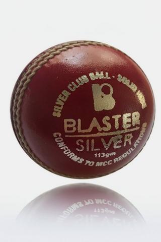Gm Blaster Silver Cricket Ball 113g