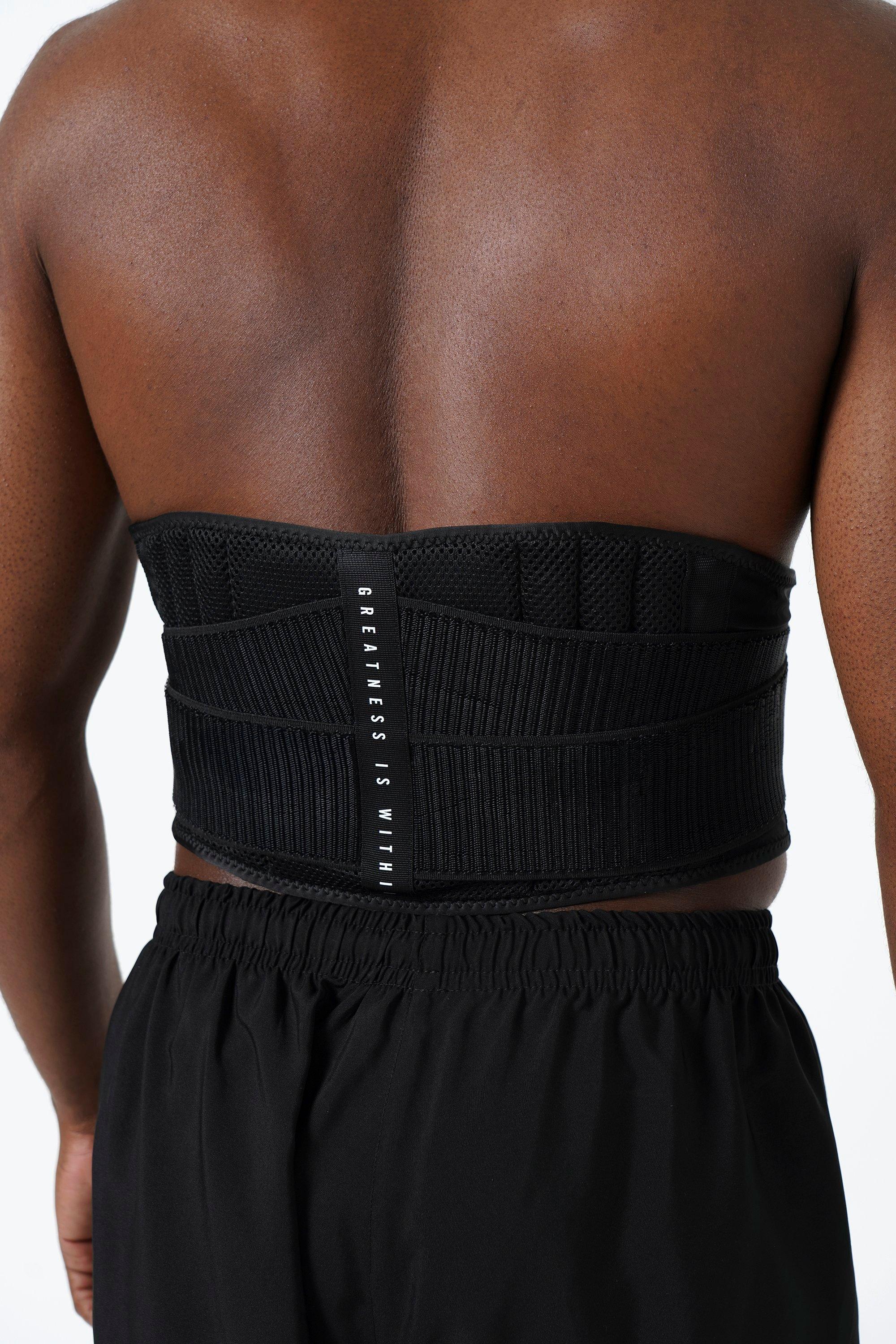 Everlast Lumbar Support