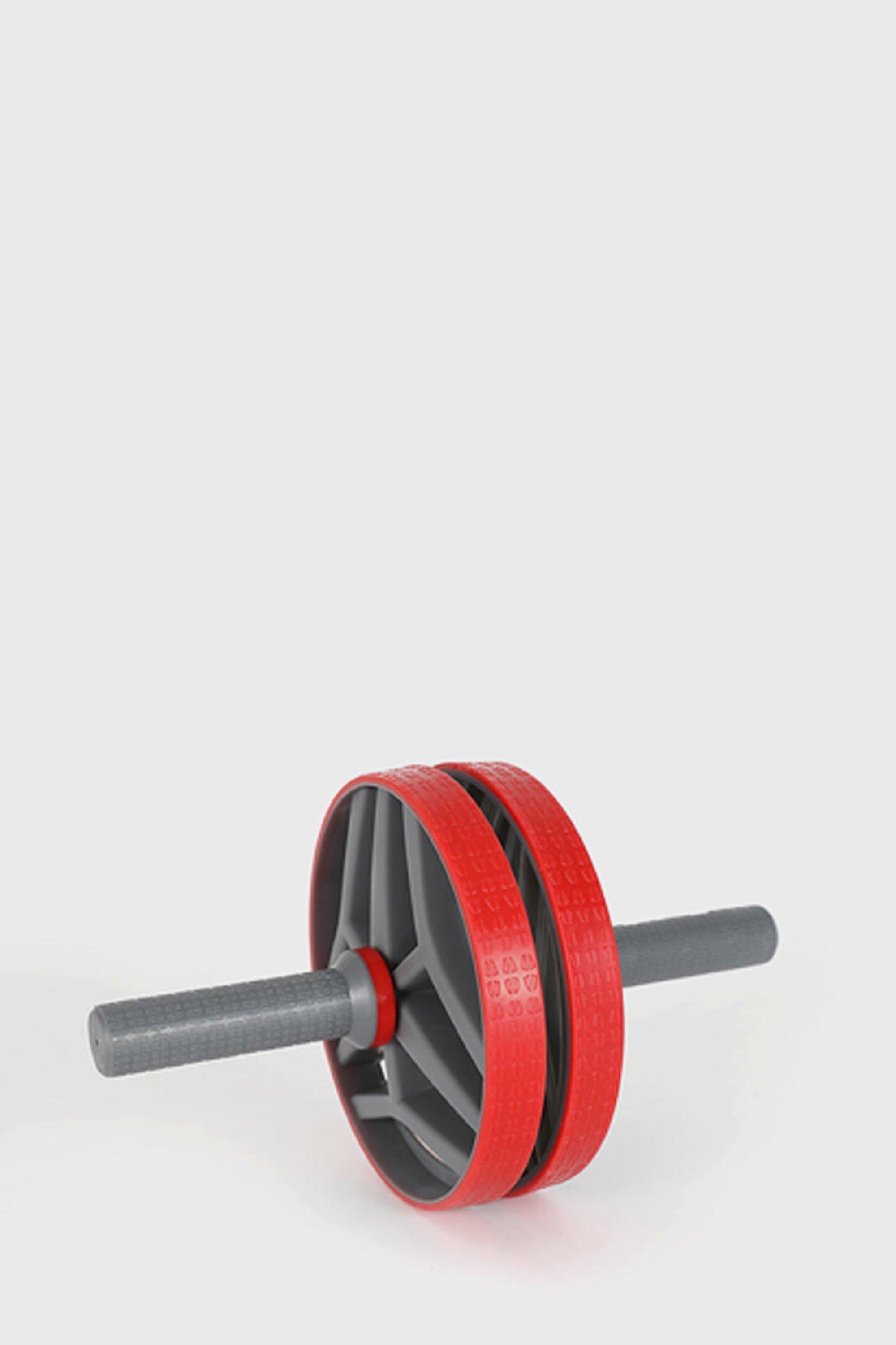 Double Exercise Wheel