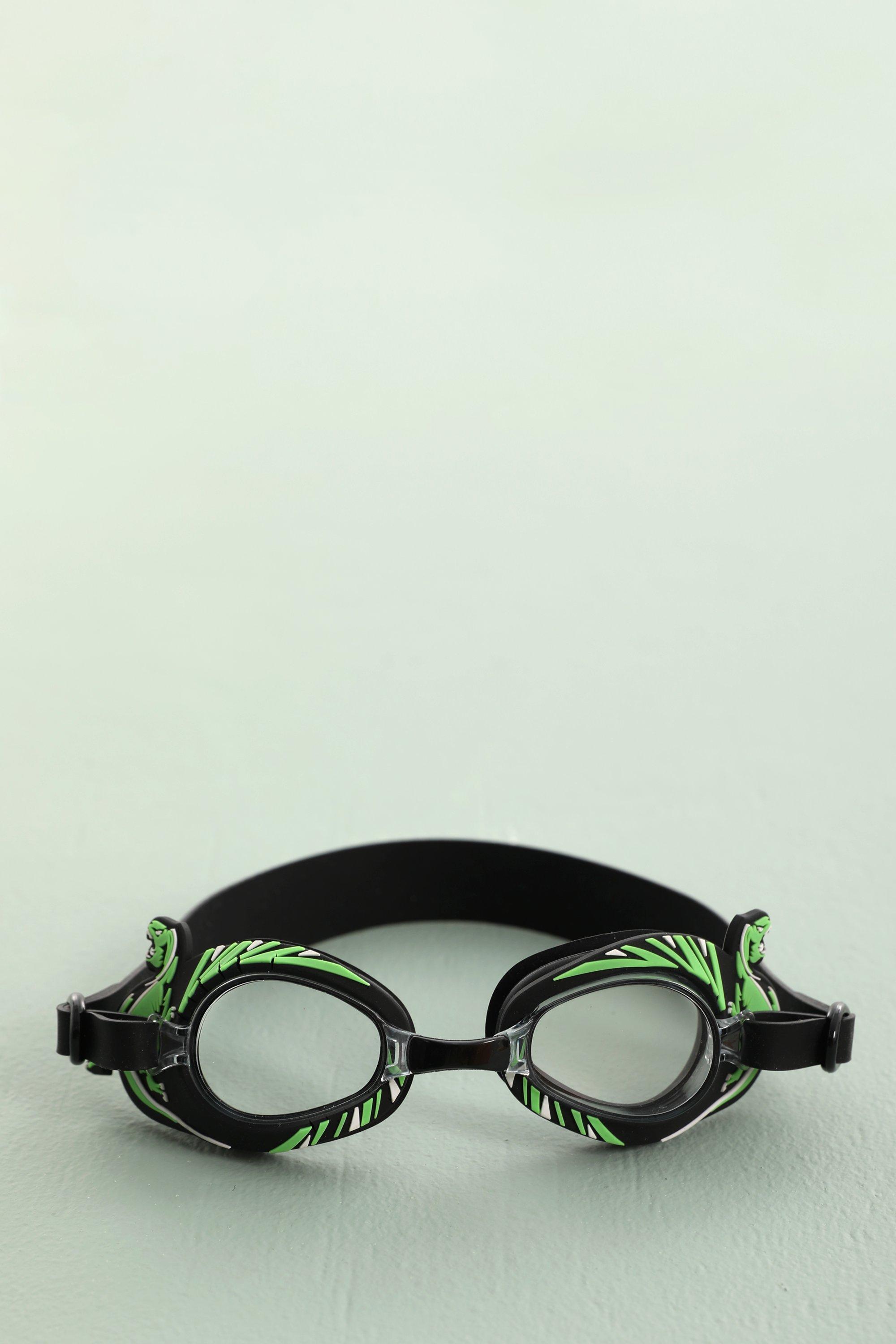 Dinosaur Goggles