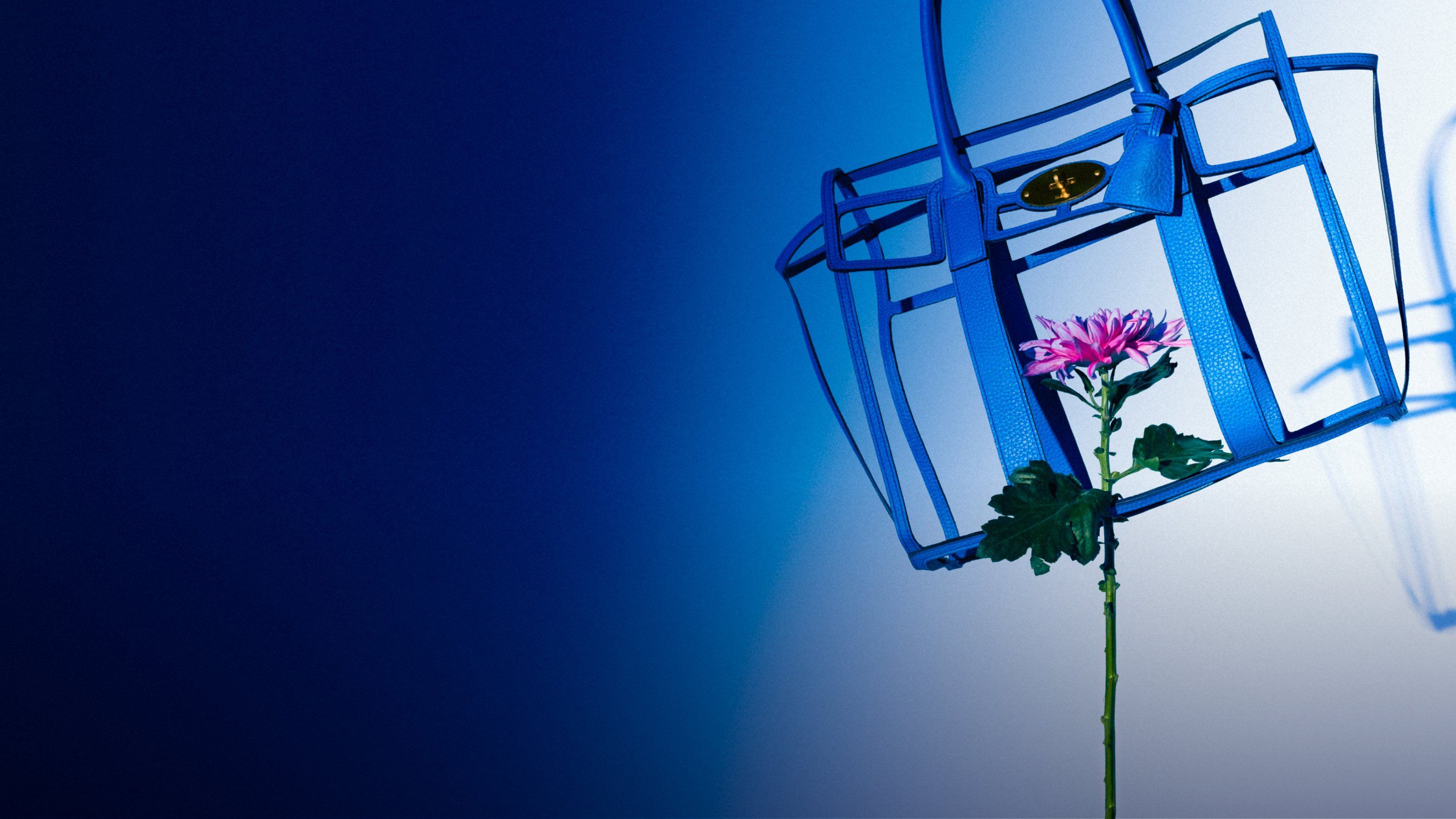 Mulberry World | Mulberry | Mulberry