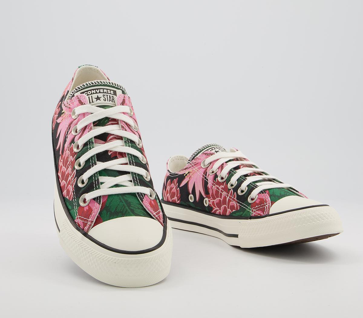 Converse Converse All Star Low Trainers Black Multi Egret Palm - Women ...