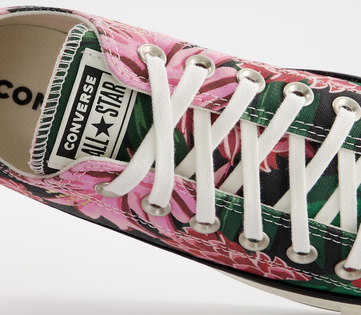 Converse Converse All Star Low Trainers Black Multi Egret Palm - Women ...