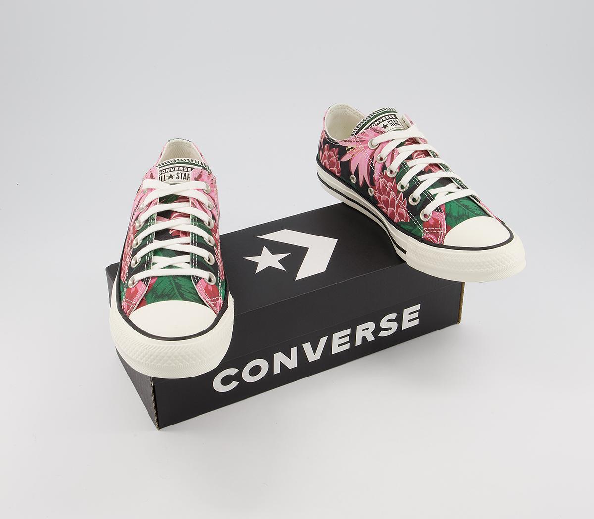 Converse Converse All Star Low Trainers Black Multi Egret Palm - Women ...