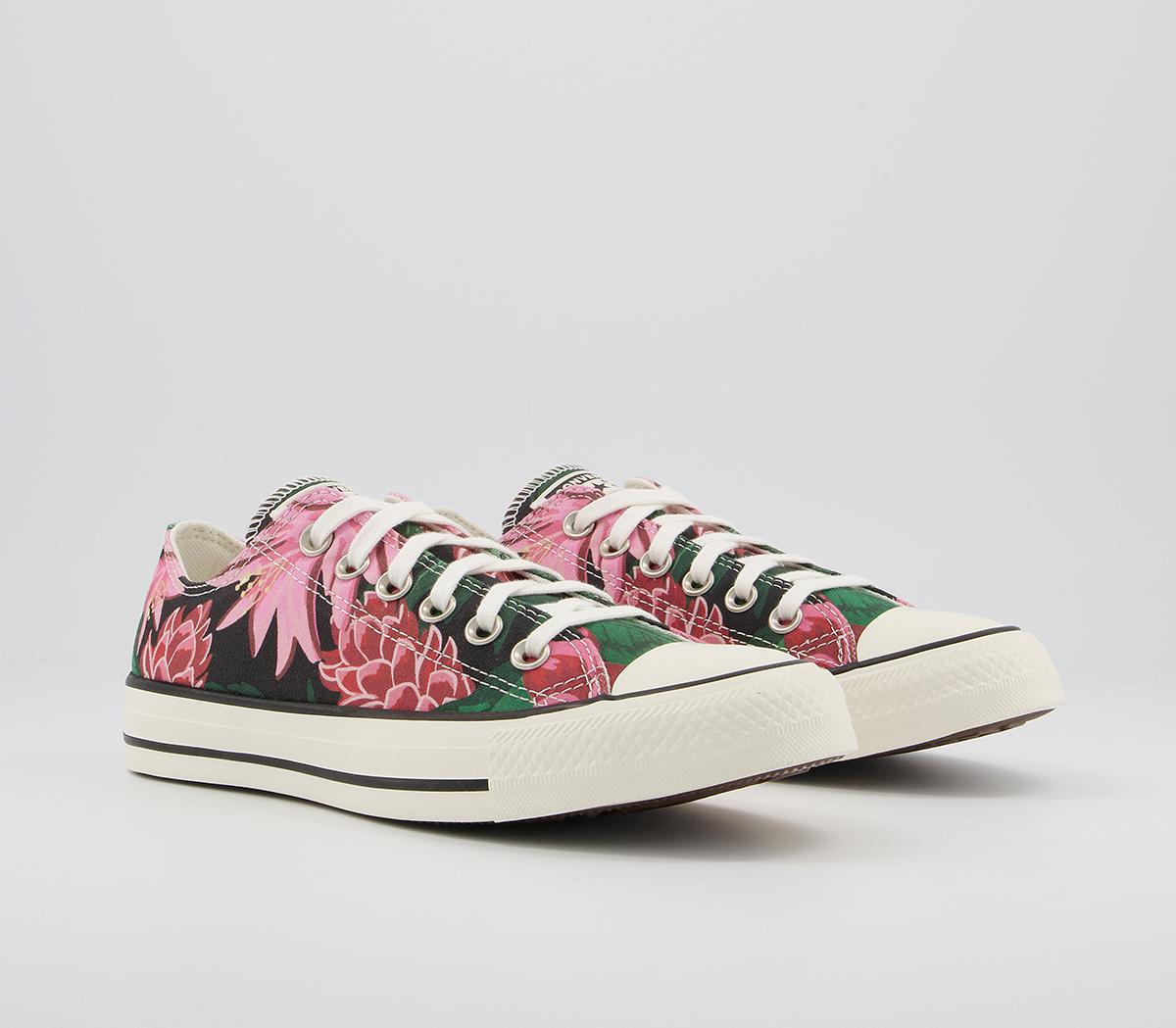 Converse Converse All Star Low Trainers Black Multi Egret Palm - Women ...