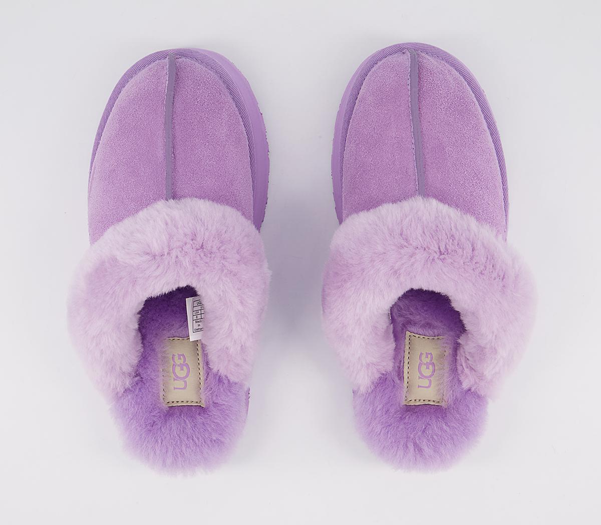 UGG Disquette Slippers Lilac Bloom - Flat Shoes for Women