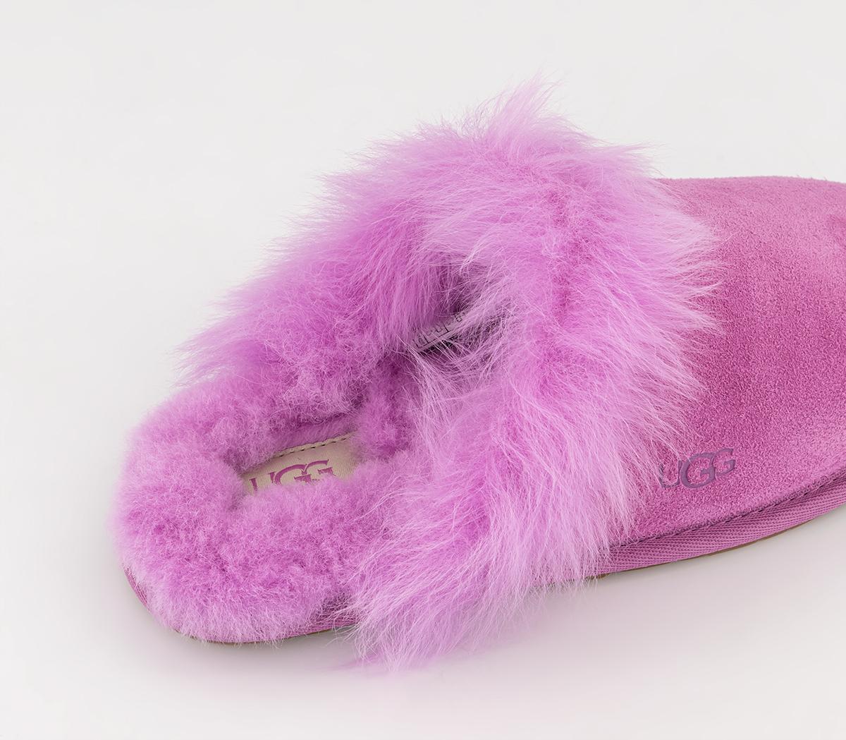 UGG Scuff Sis Slippers Purple Berry - Flat Shoes for Women