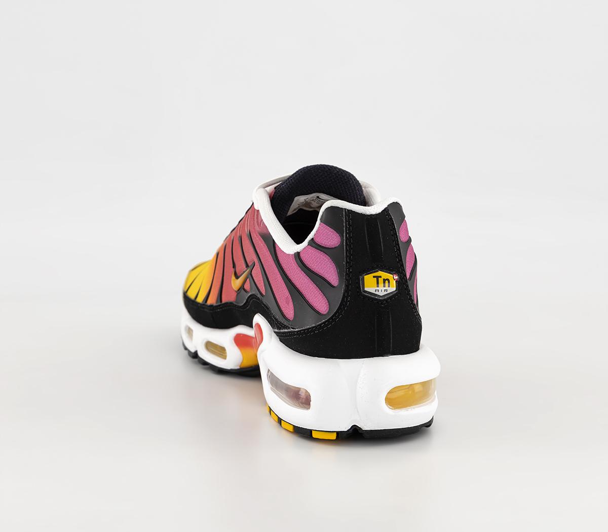 Nike Air Max Plus Trainers Rainbow - Men's Trainers