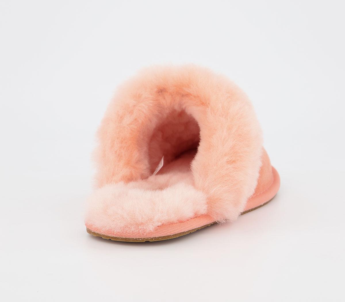 UGG Scuffette II Slippers Beverly Pink - Flat Shoes for Women
