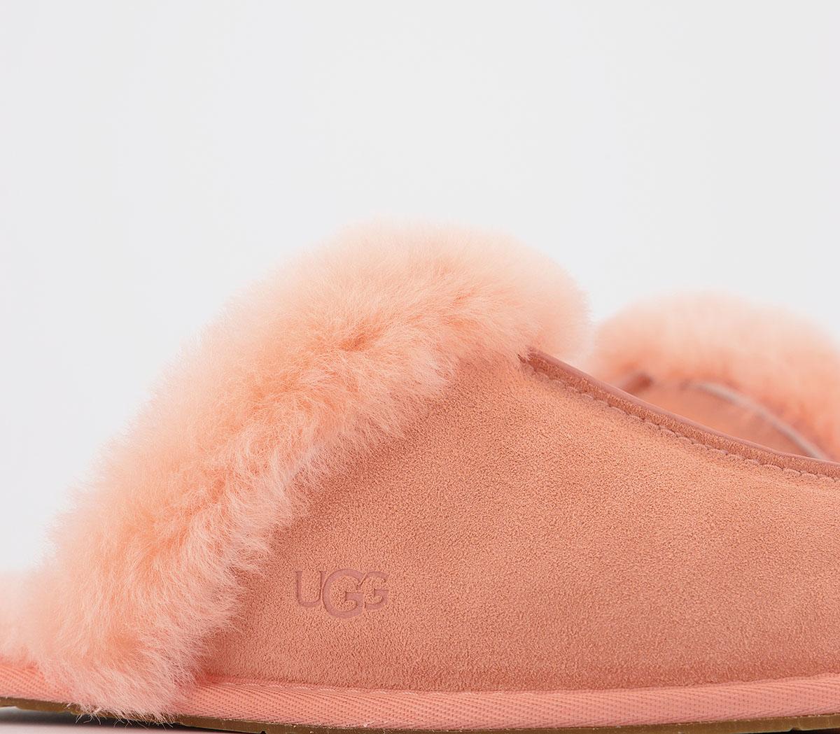 UGG Scuffette II Slippers Beverly Pink - Flat Shoes for Women