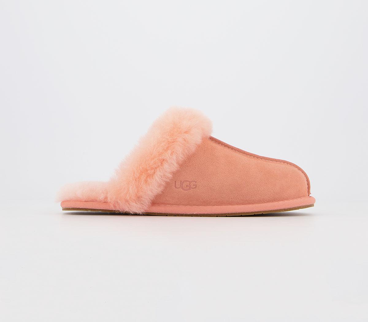 UGG Scuffette II Slippers Beverly Pink - Flat Shoes for Women