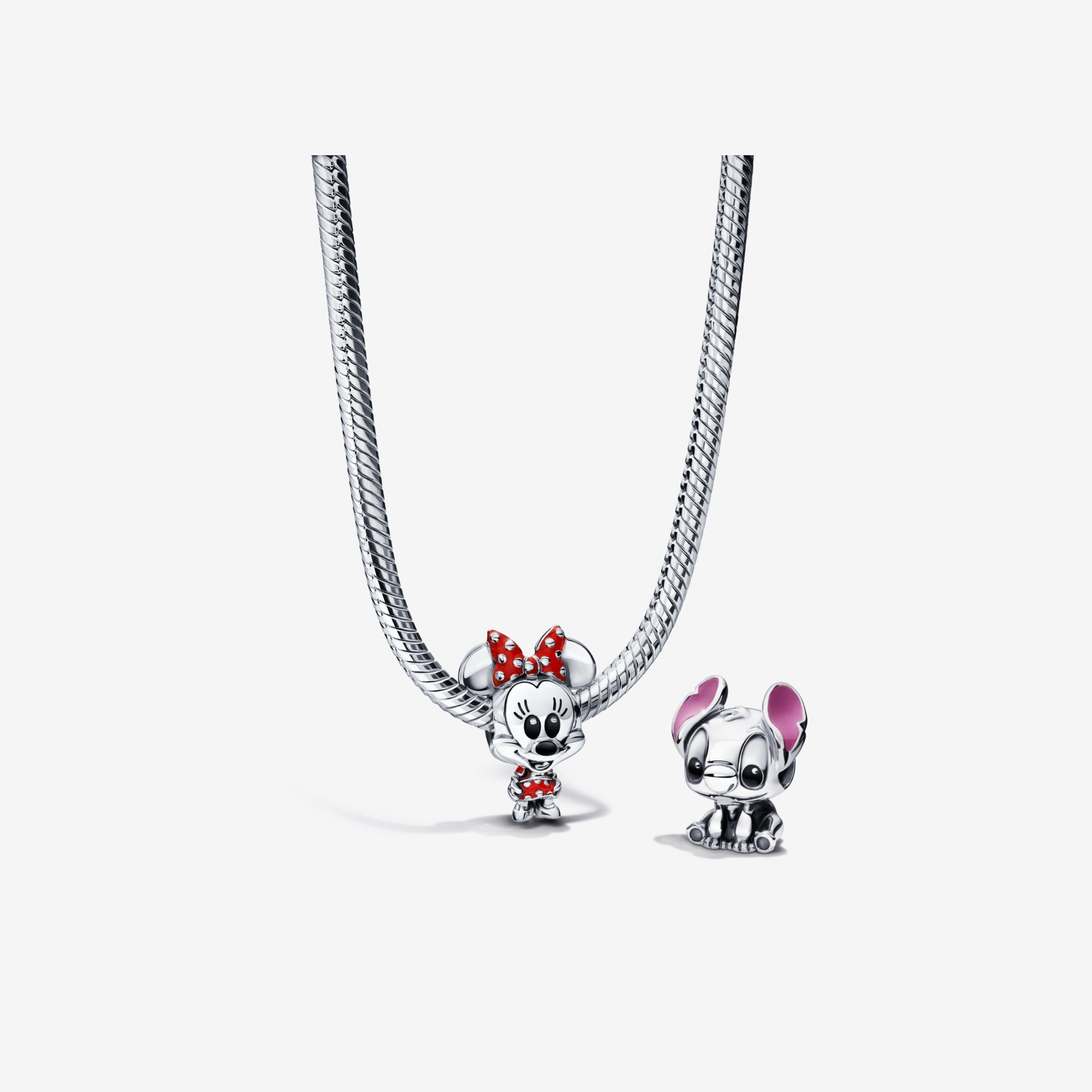 Clips and safety chains