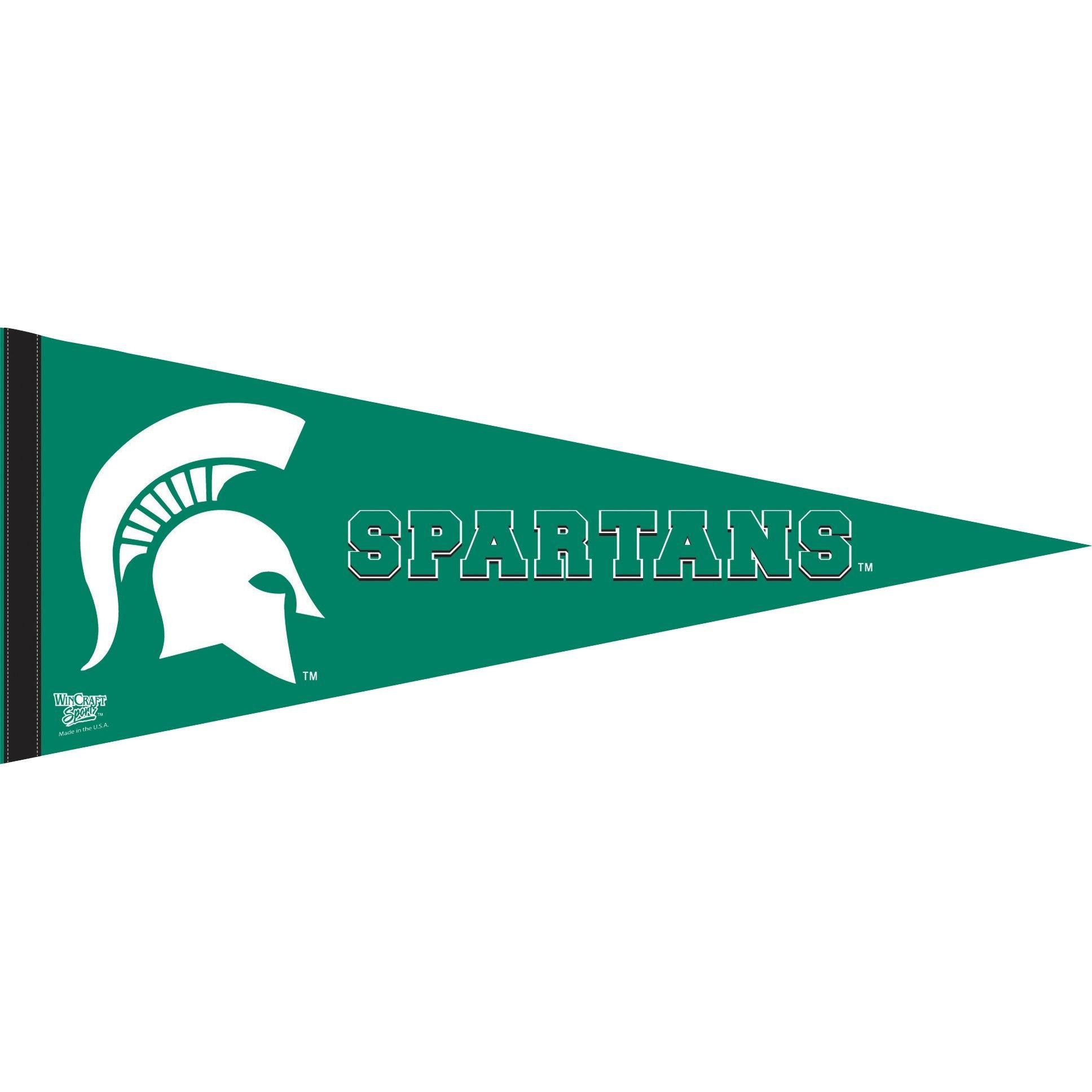Michigan State Spartans Flag