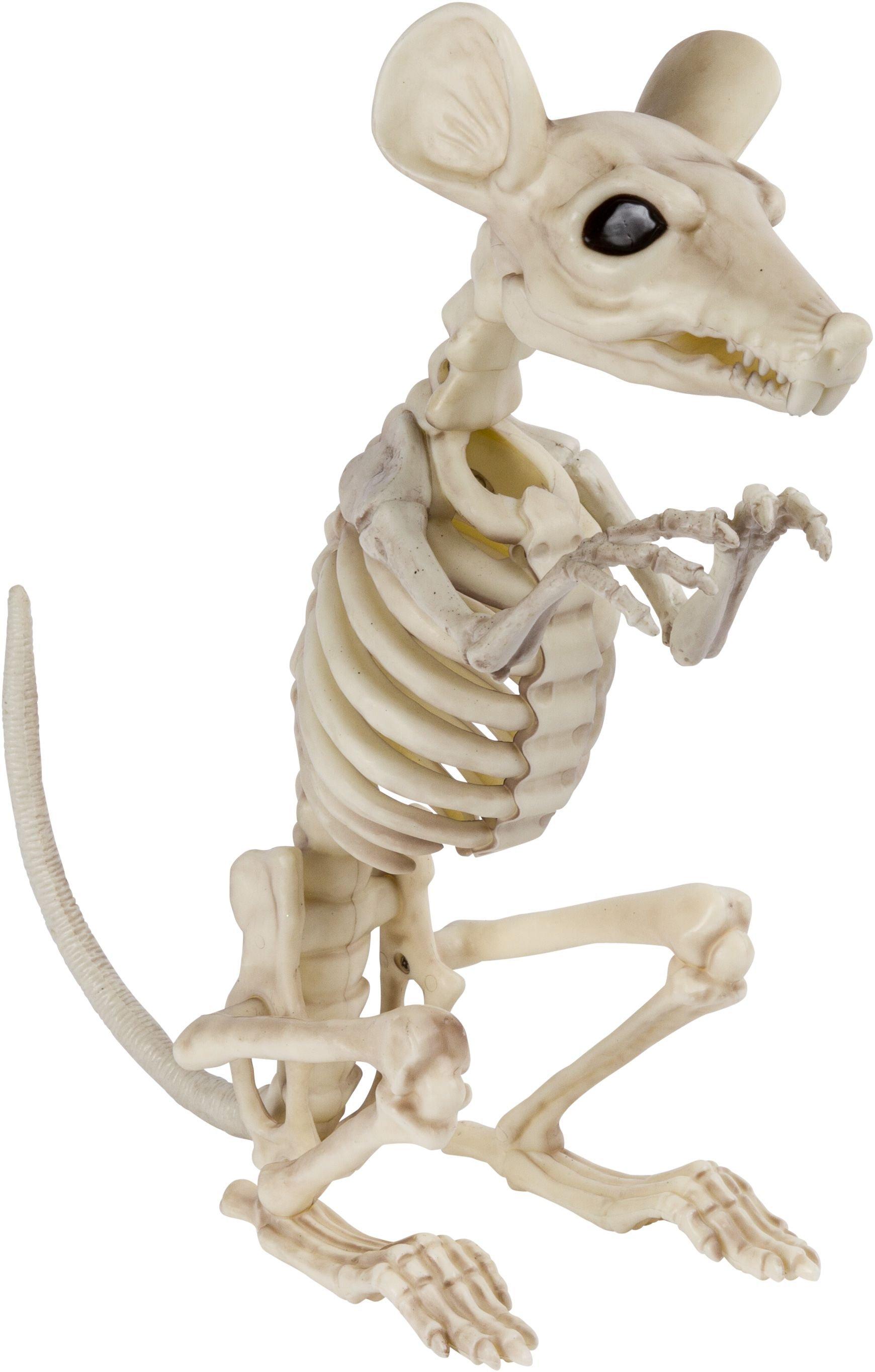 Skeleton Rat 4in x 12in | Party City
