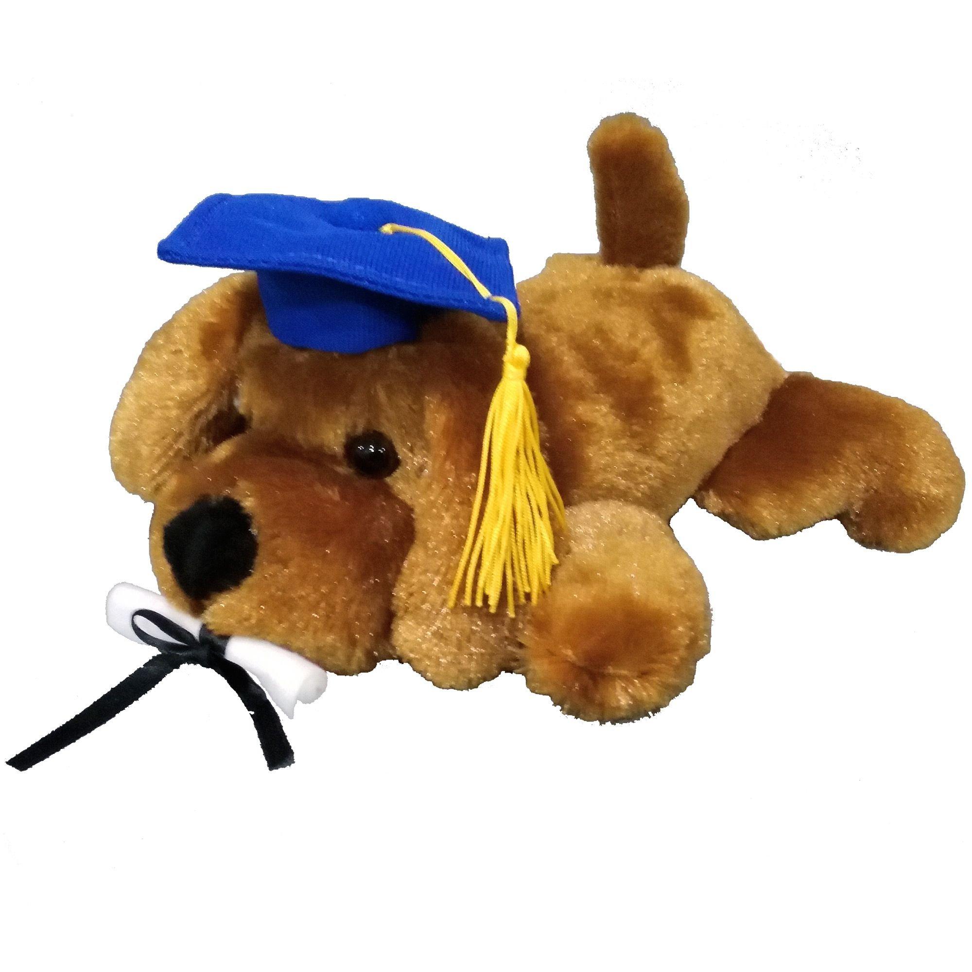 Graduation Dog