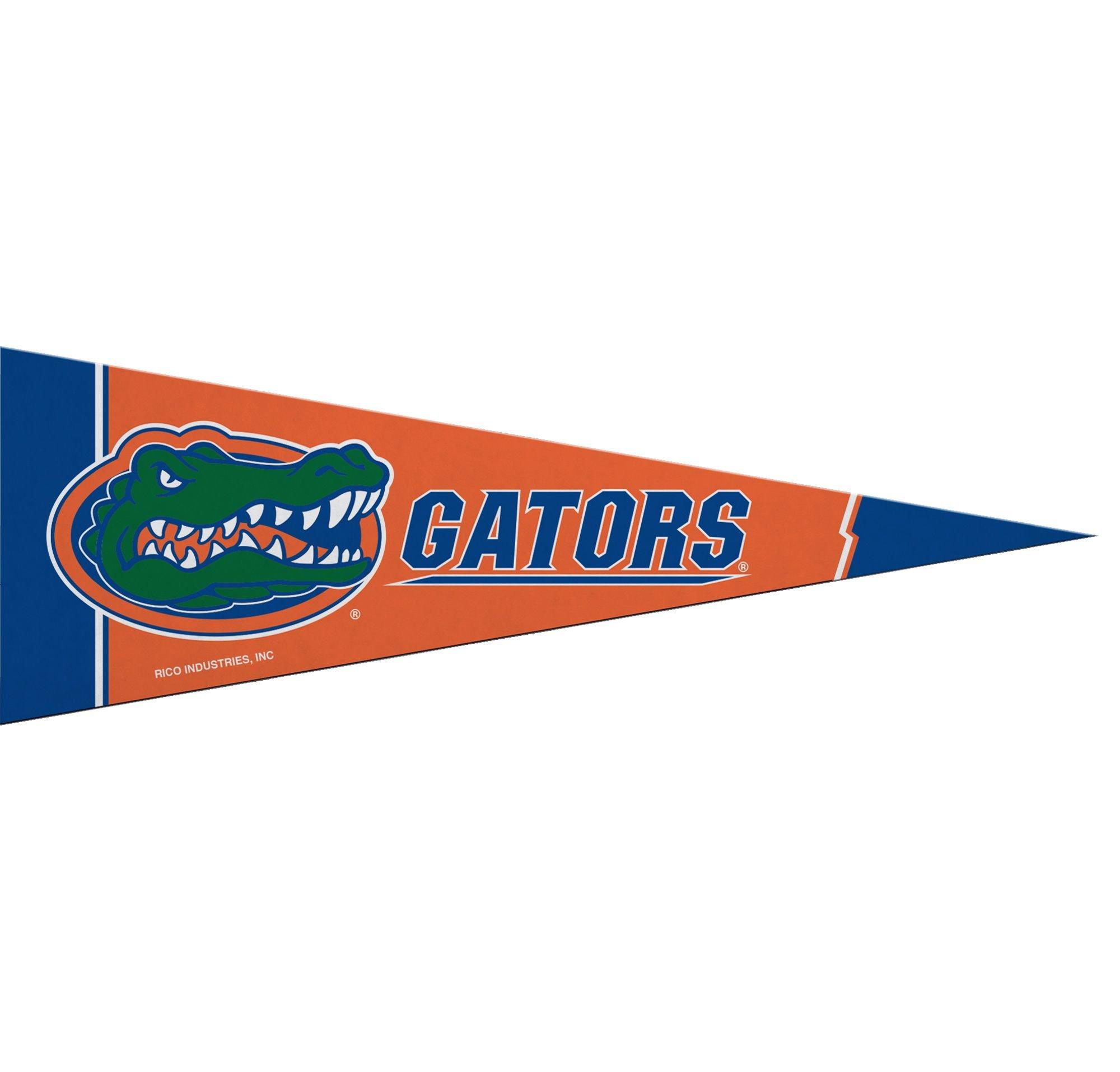 College Pennant Flag