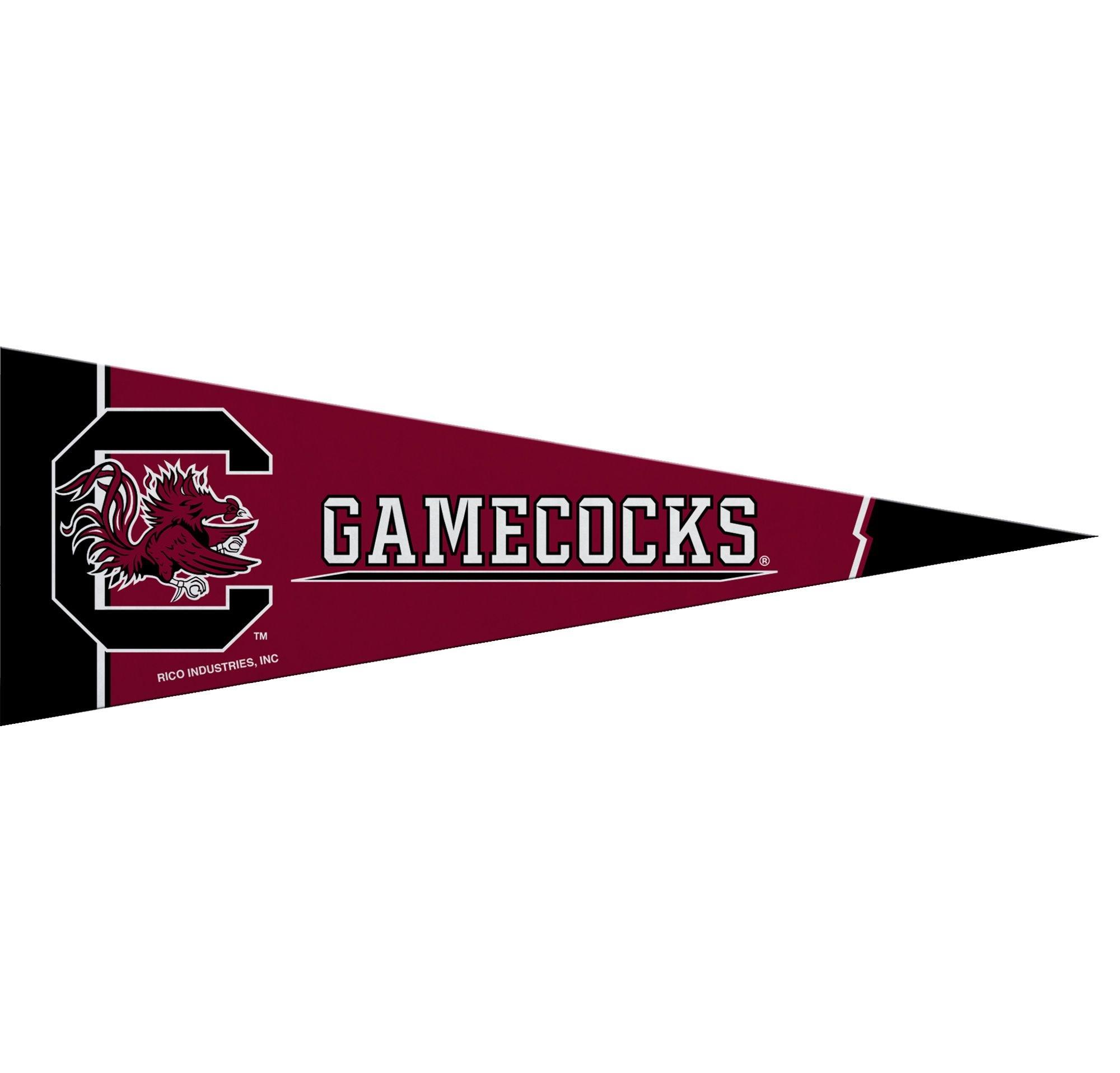 College Pennant Flag
