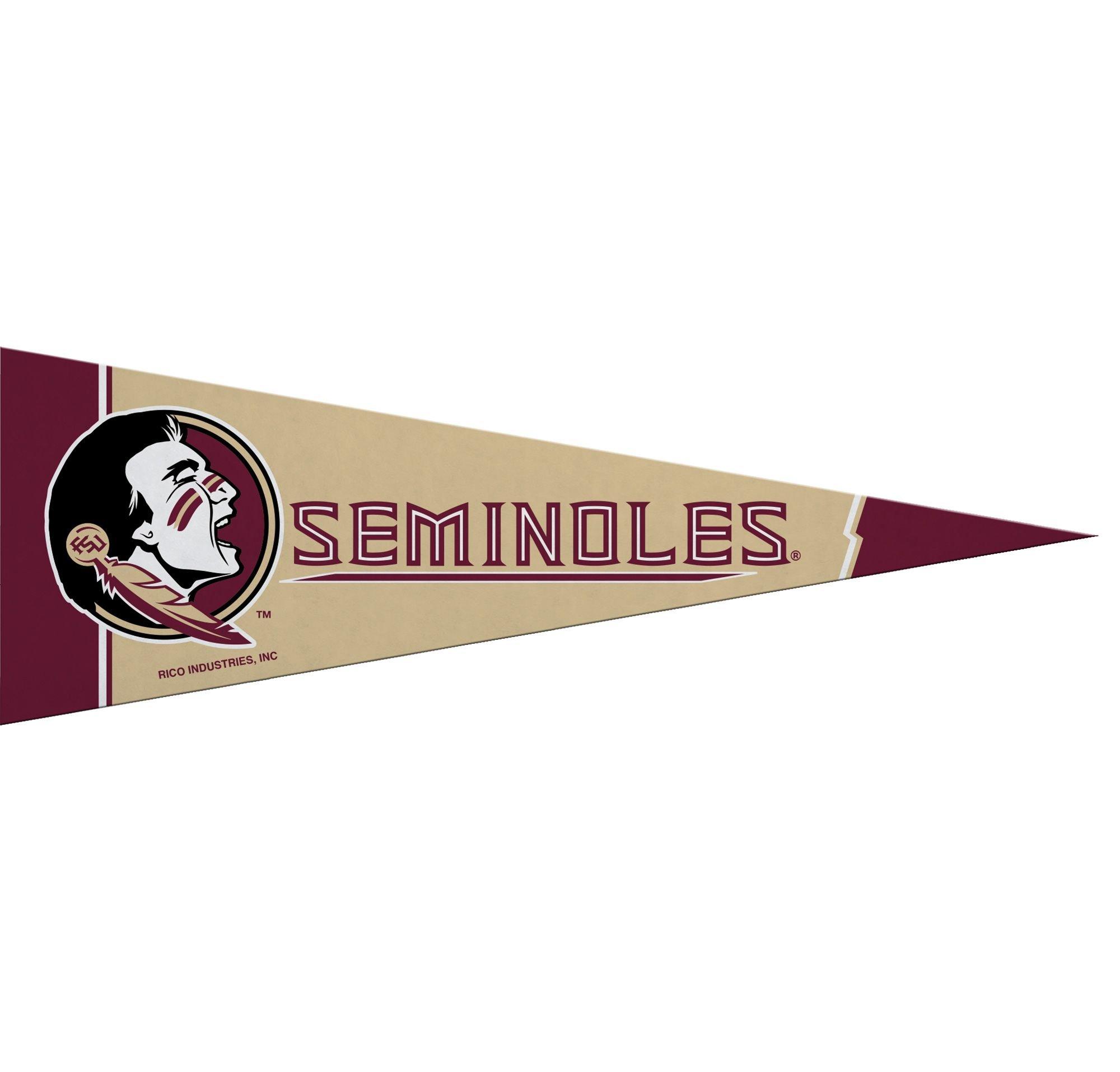 College Pennant Flag