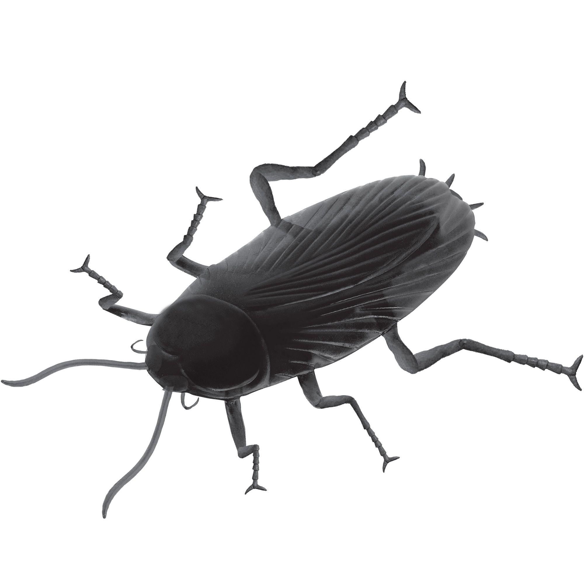Black Cockroach 8 1/2in x 11 1/2in | Party City