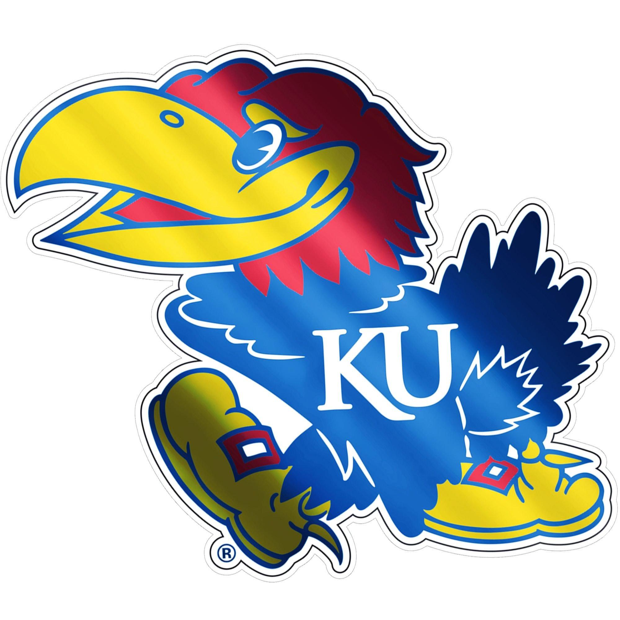Jayhawk Costume Halloween Costume