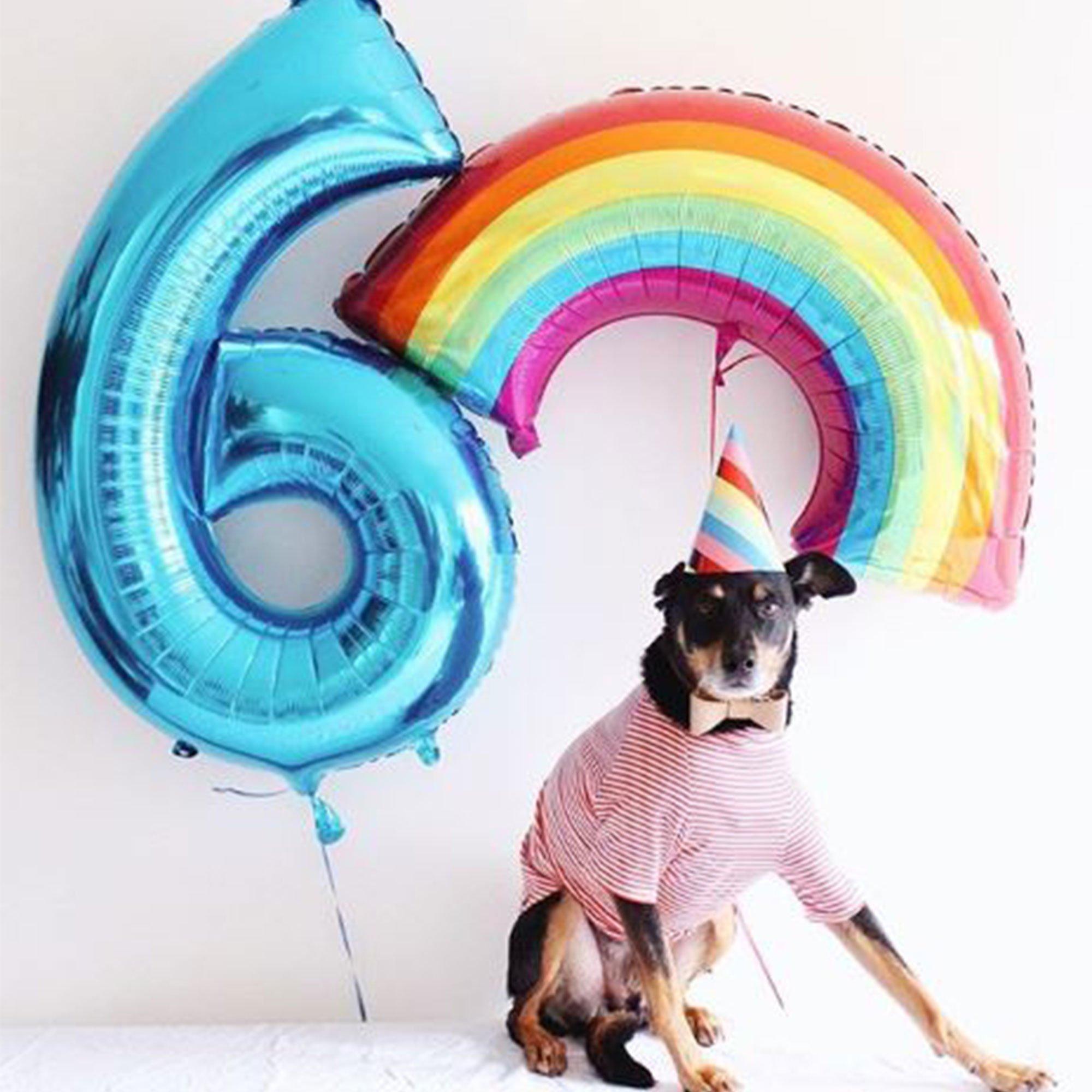 PartyCity Giant Iridescent Rainbow Balloon | Hamilton Place