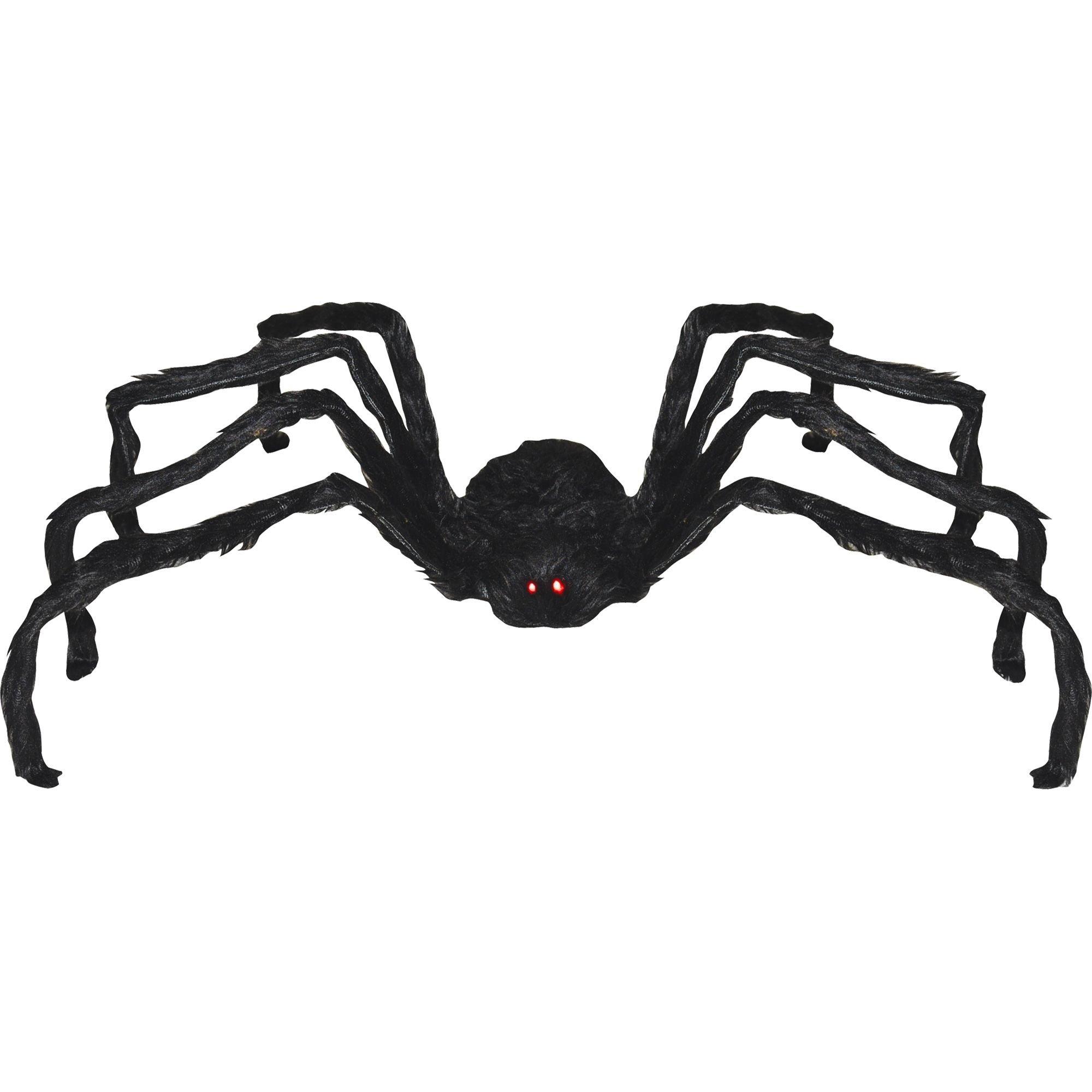 African Giant Spider