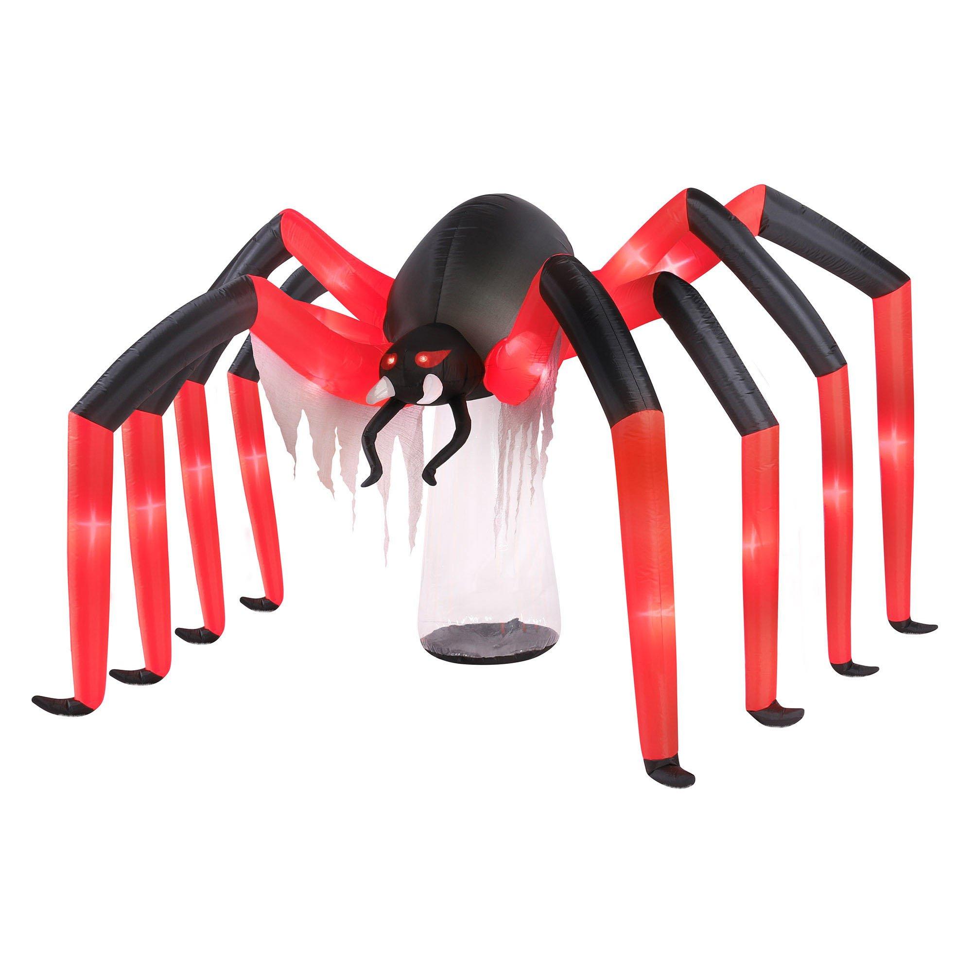 African Giant Spider