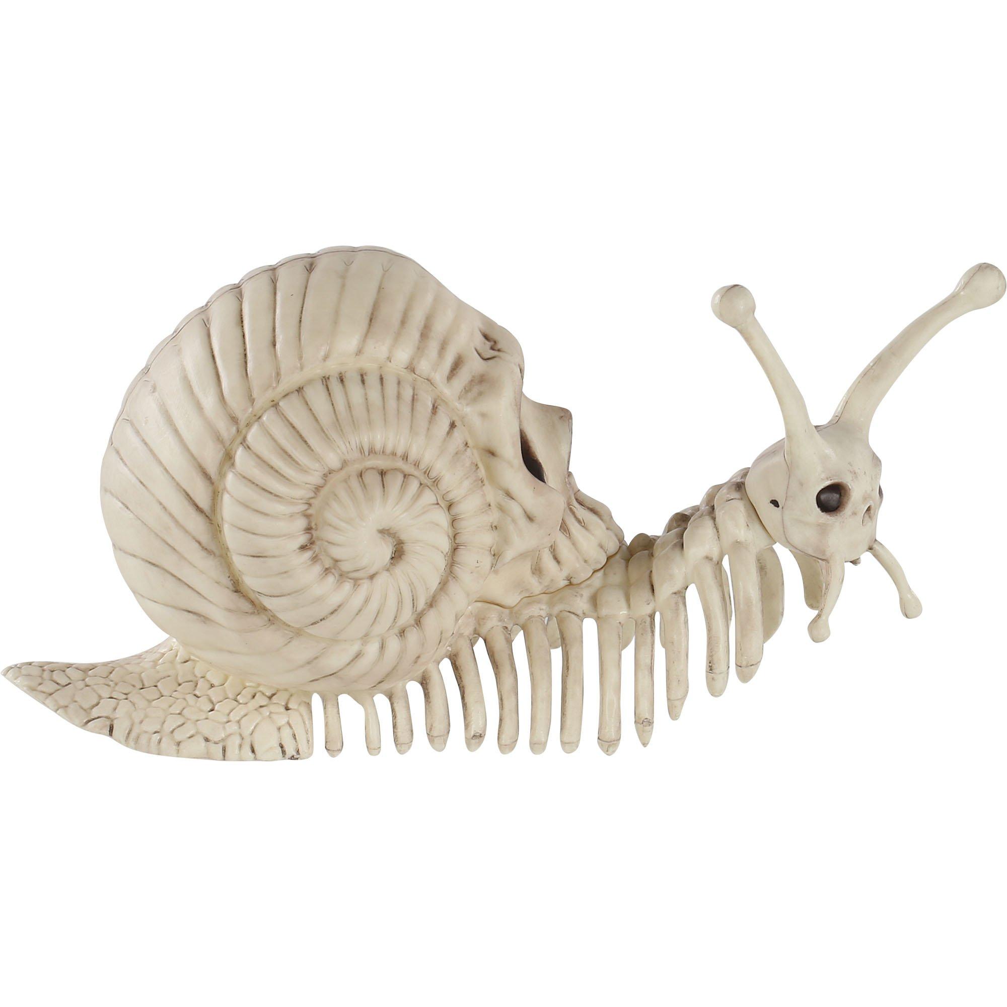 Skull Shell Plastic Snail Skeleton, 3.9in x 8.6in | Party City
