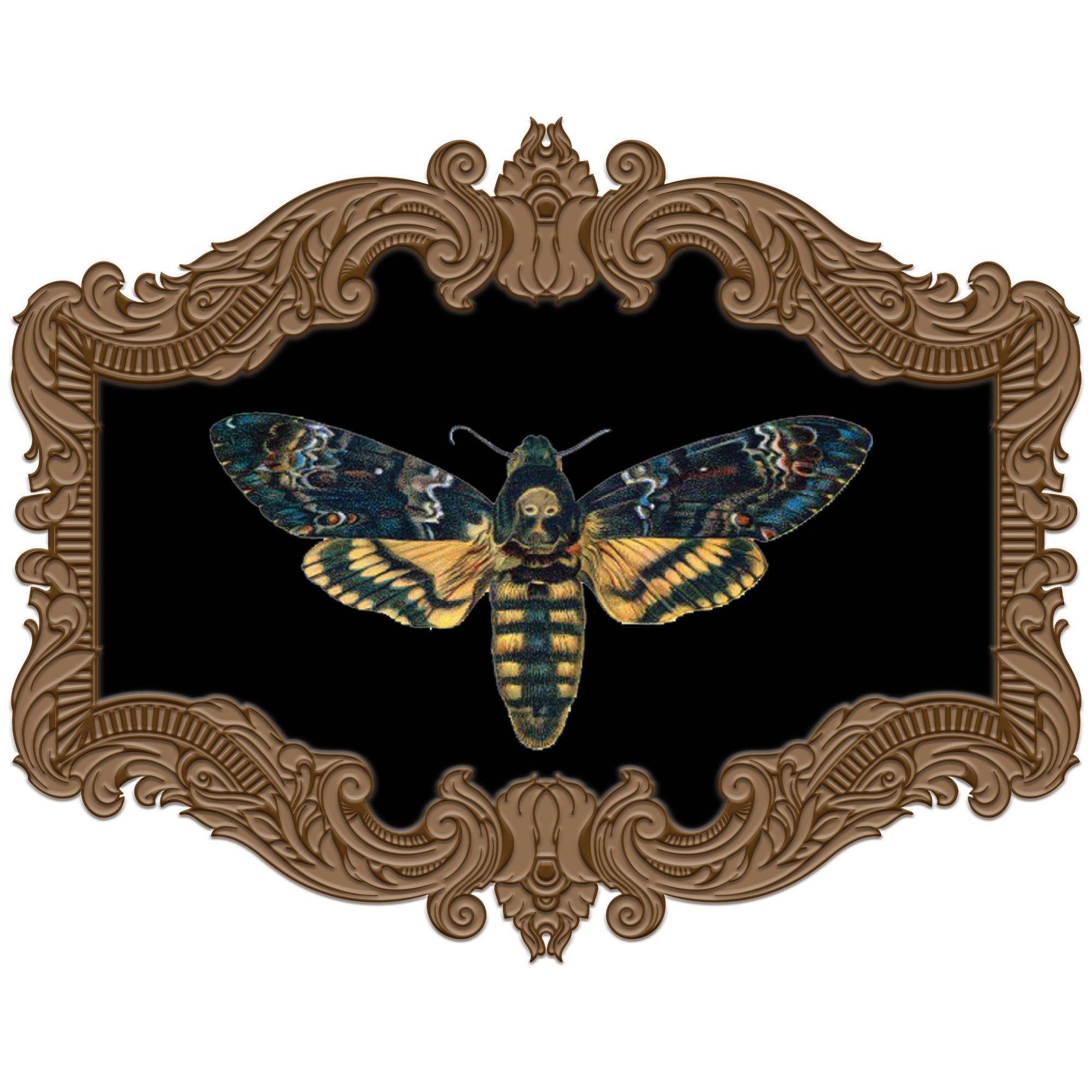 Moth Lenticular Vacuform Plastic Decoration, 14in x 11.1in - Dark ...