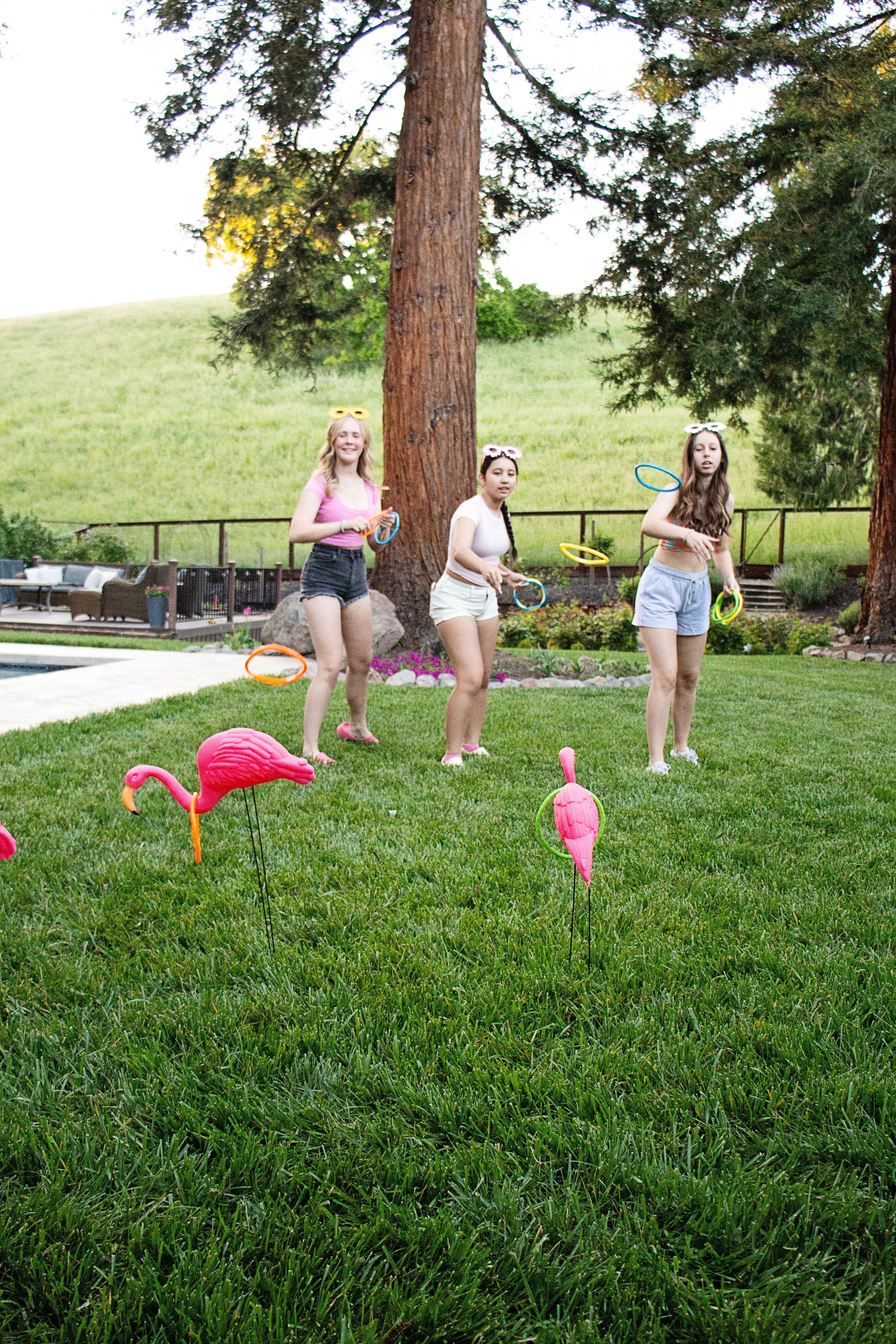 Flamingo Toss Game | Party City