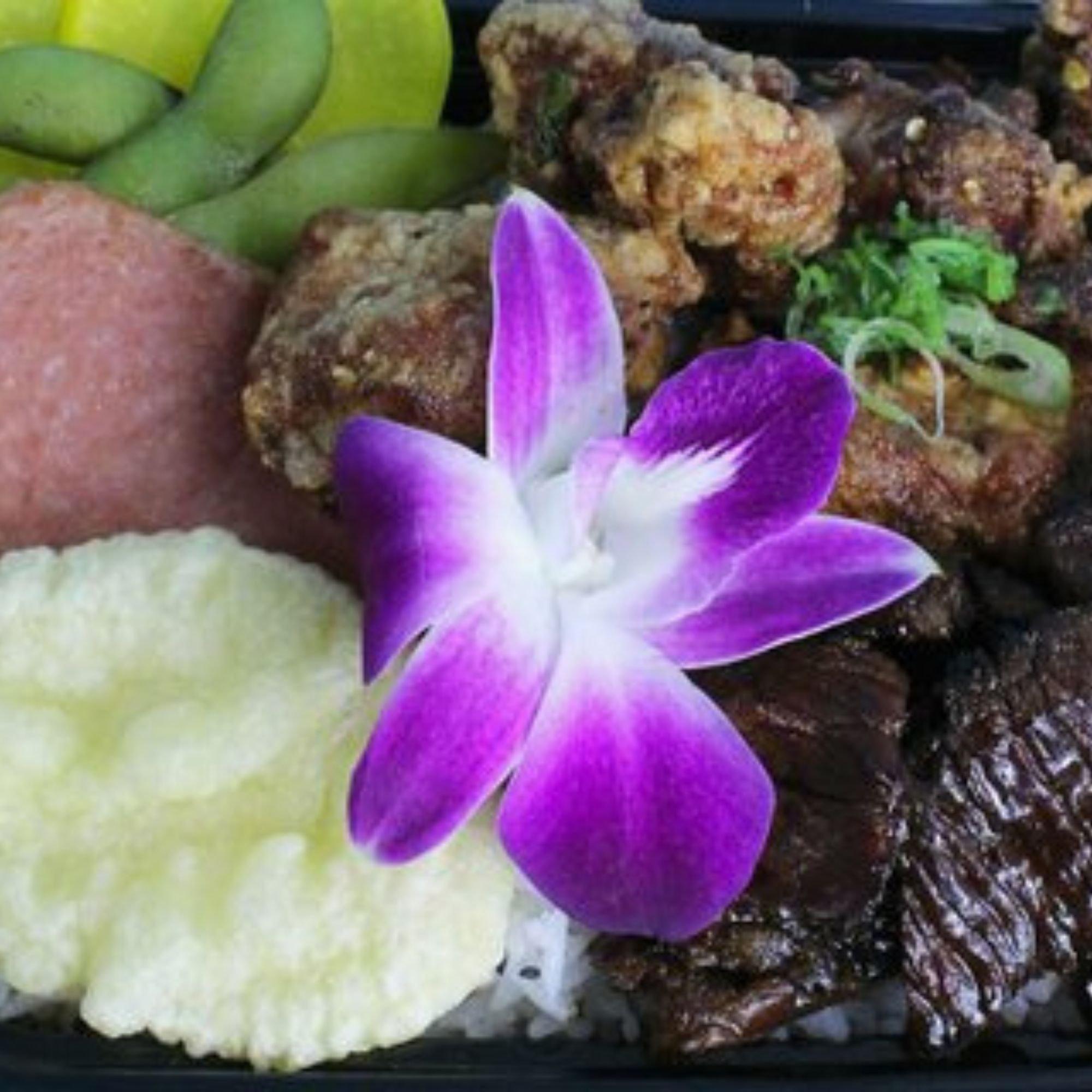 808 Sushi Express - Bento Box Meal | Party City