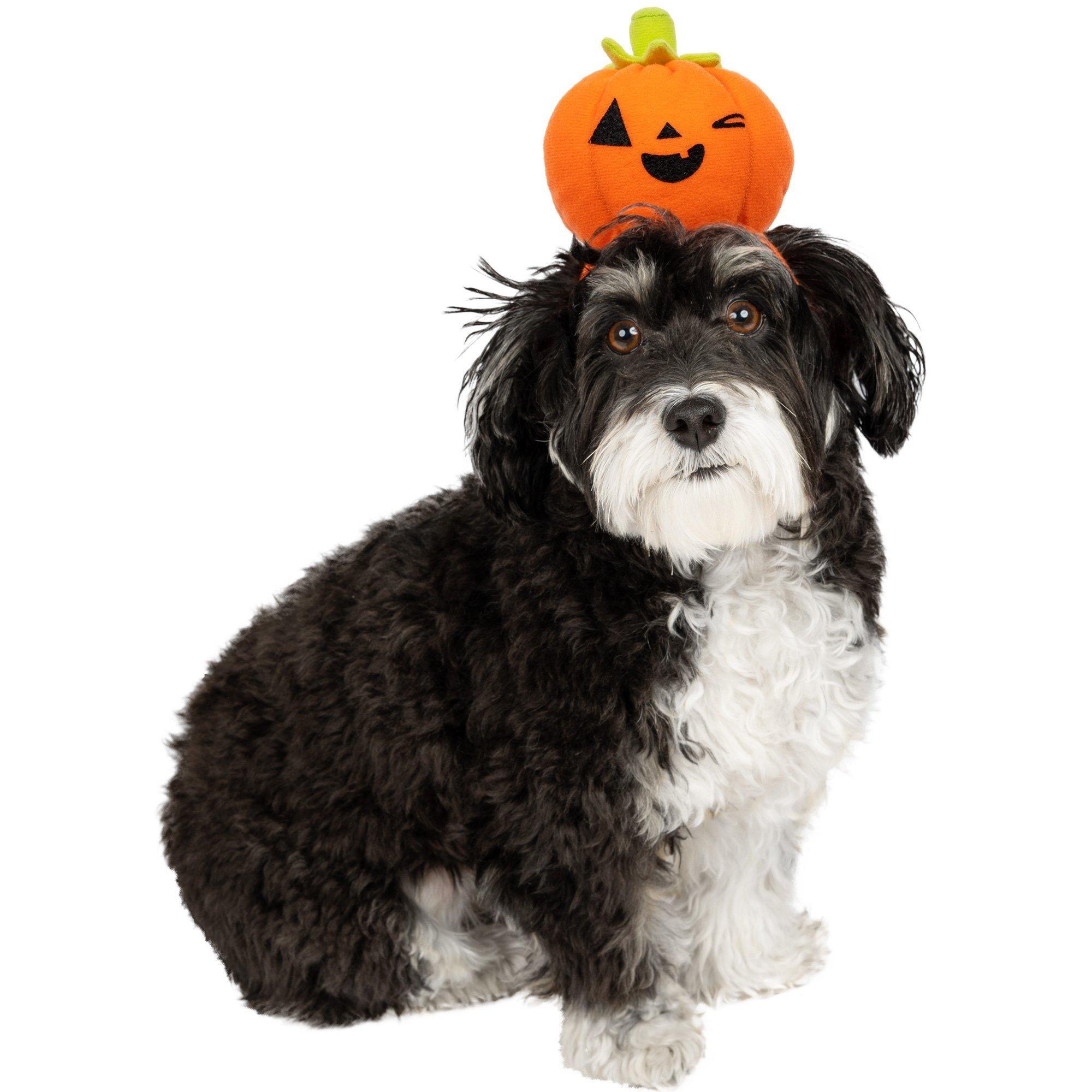 Winking Pumpkin Halloween Dog Headpiece | Party City