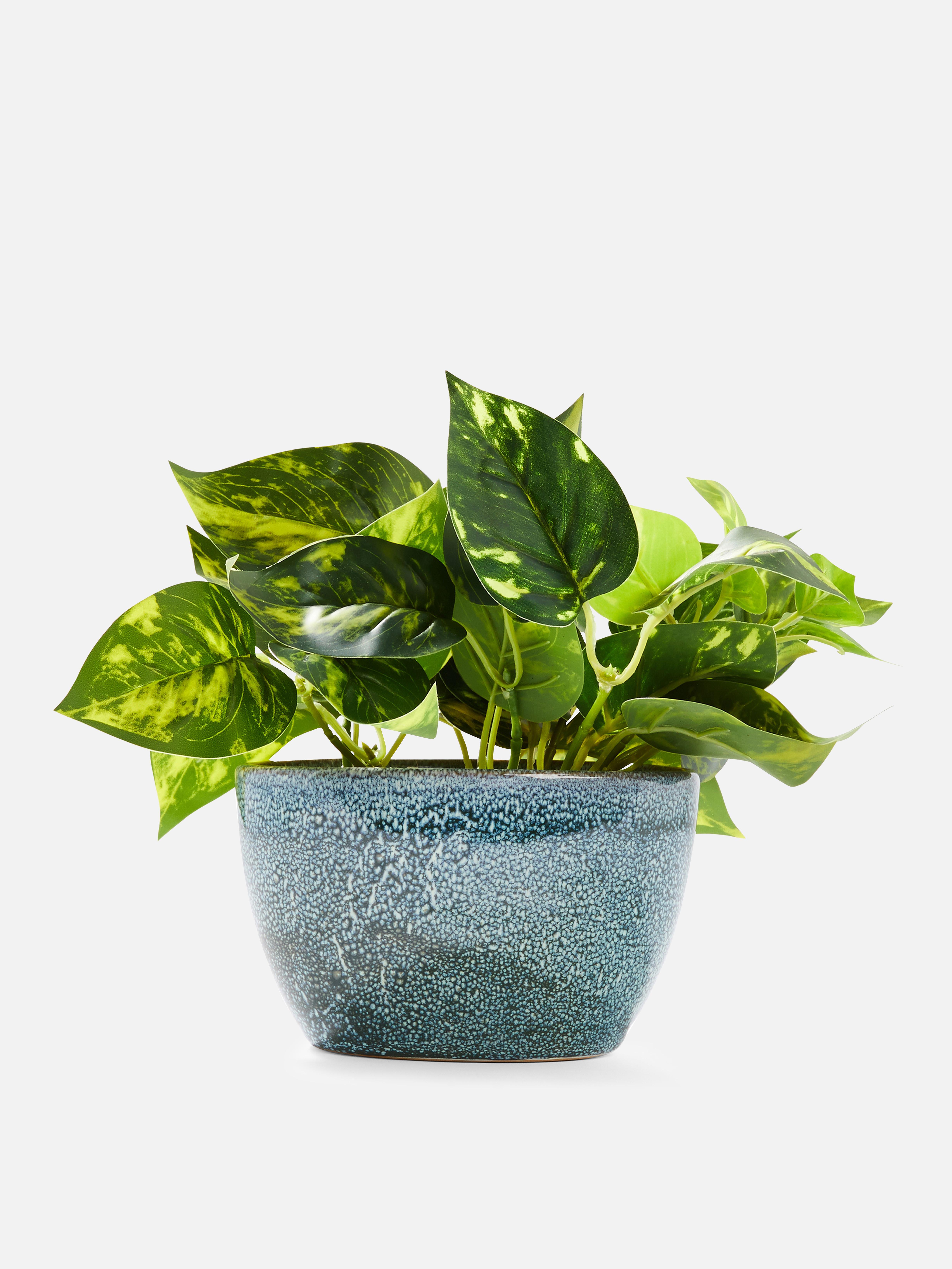 Ornaments | Home Furnishing | Primark