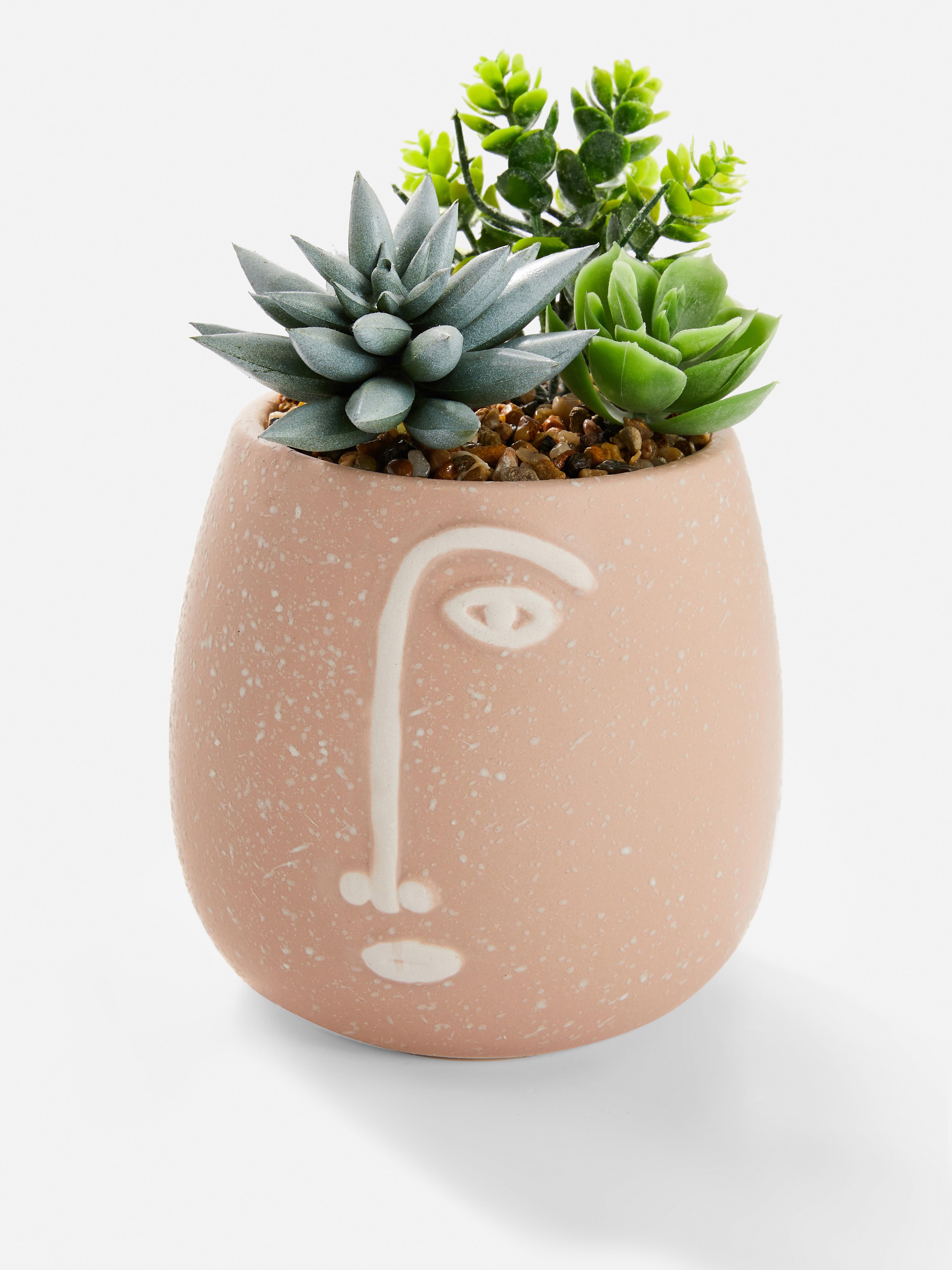 Faux Plants & Flowers | Primark