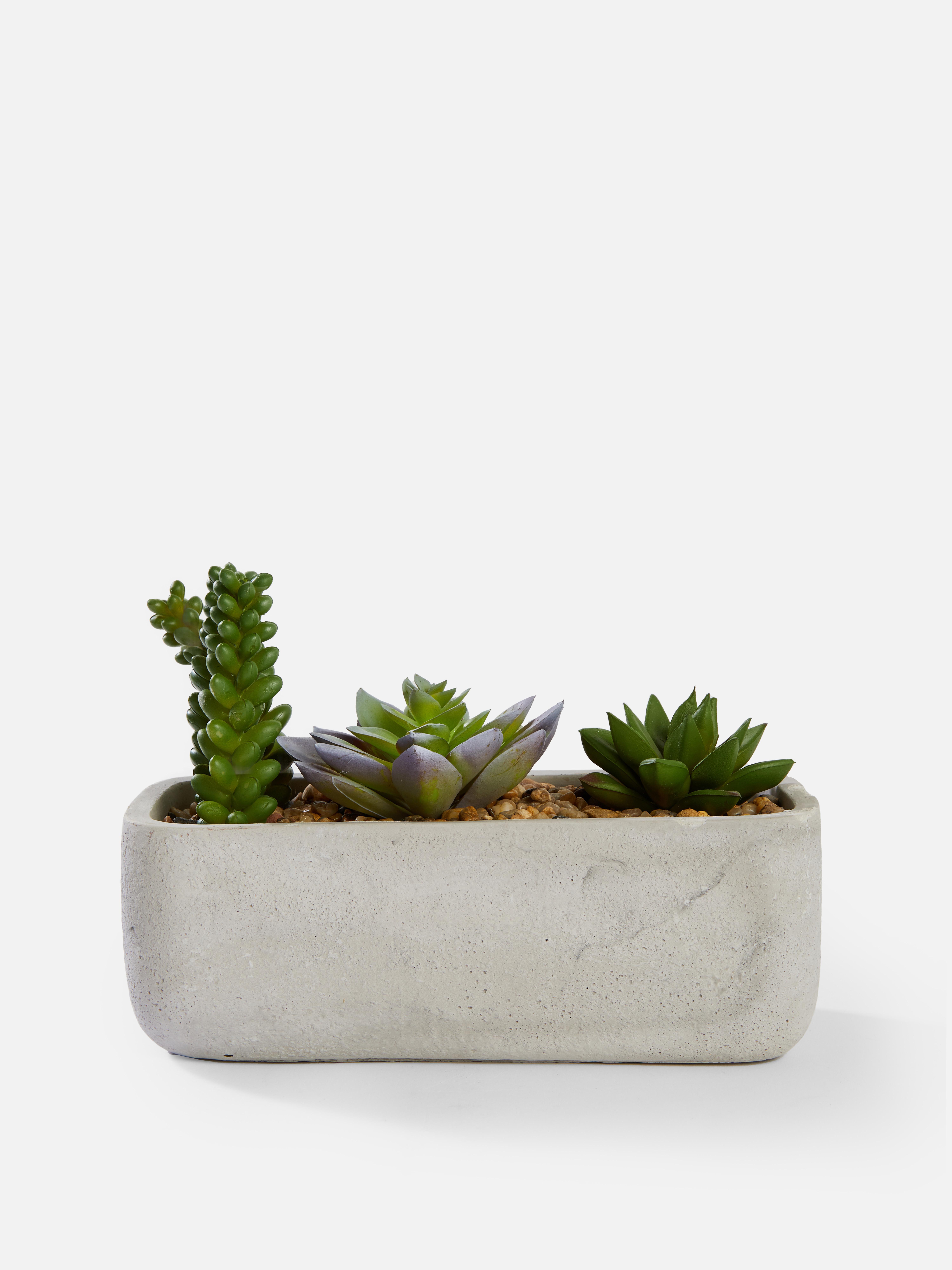 Faux Plants & Flowers | Primark