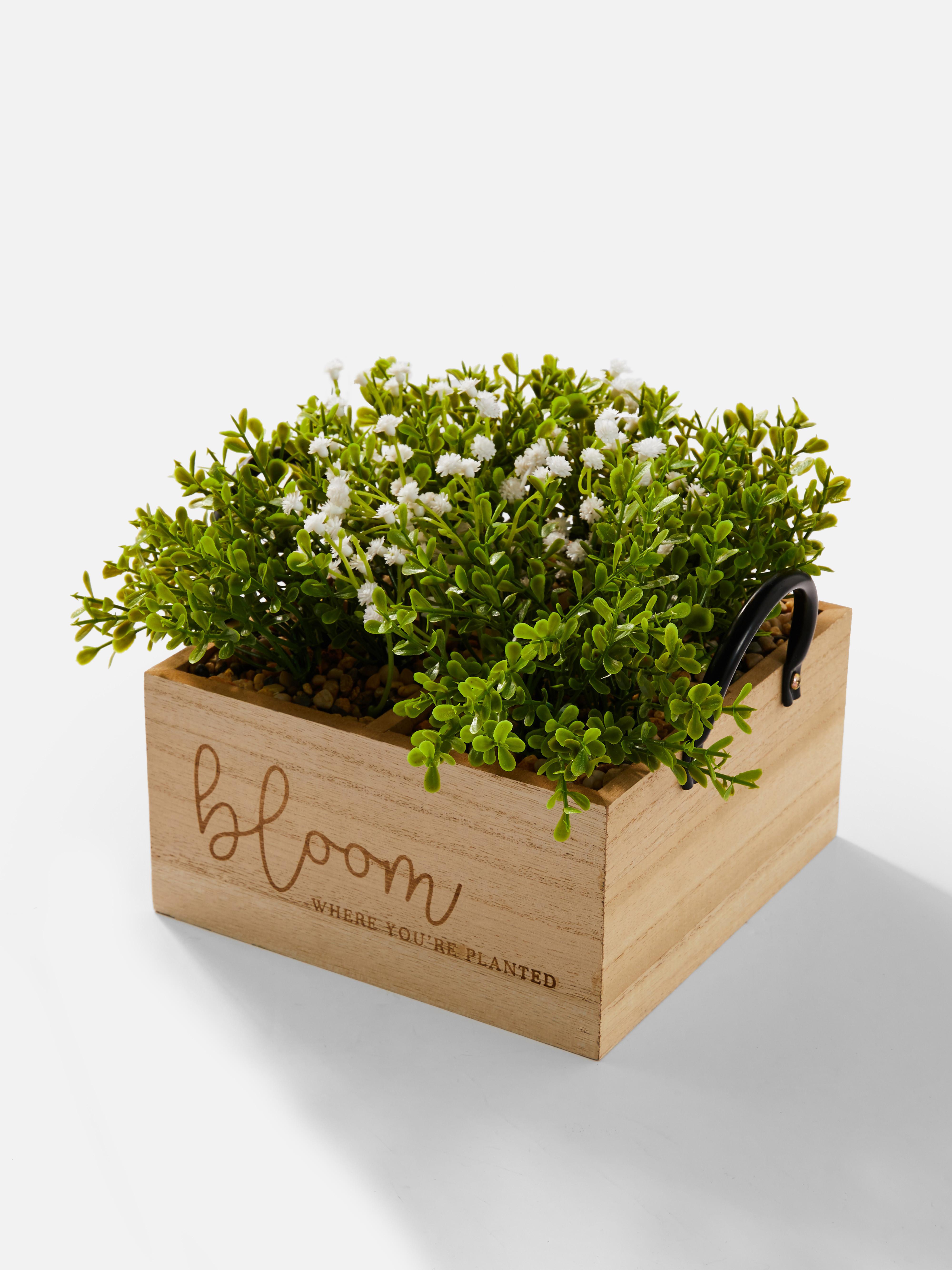 Faux Plants & Flowers | Primark